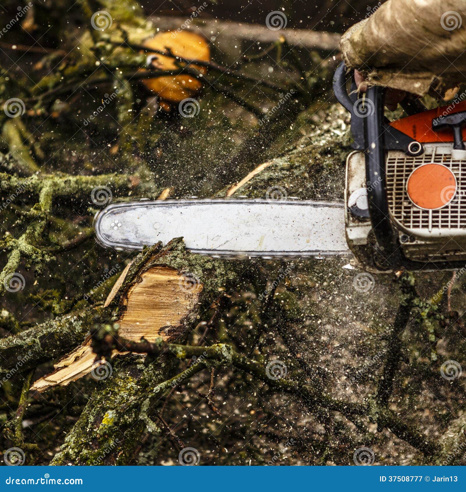 Man Sawing a Log in His Back Yard Stock Image - Image of petrol, plant ...