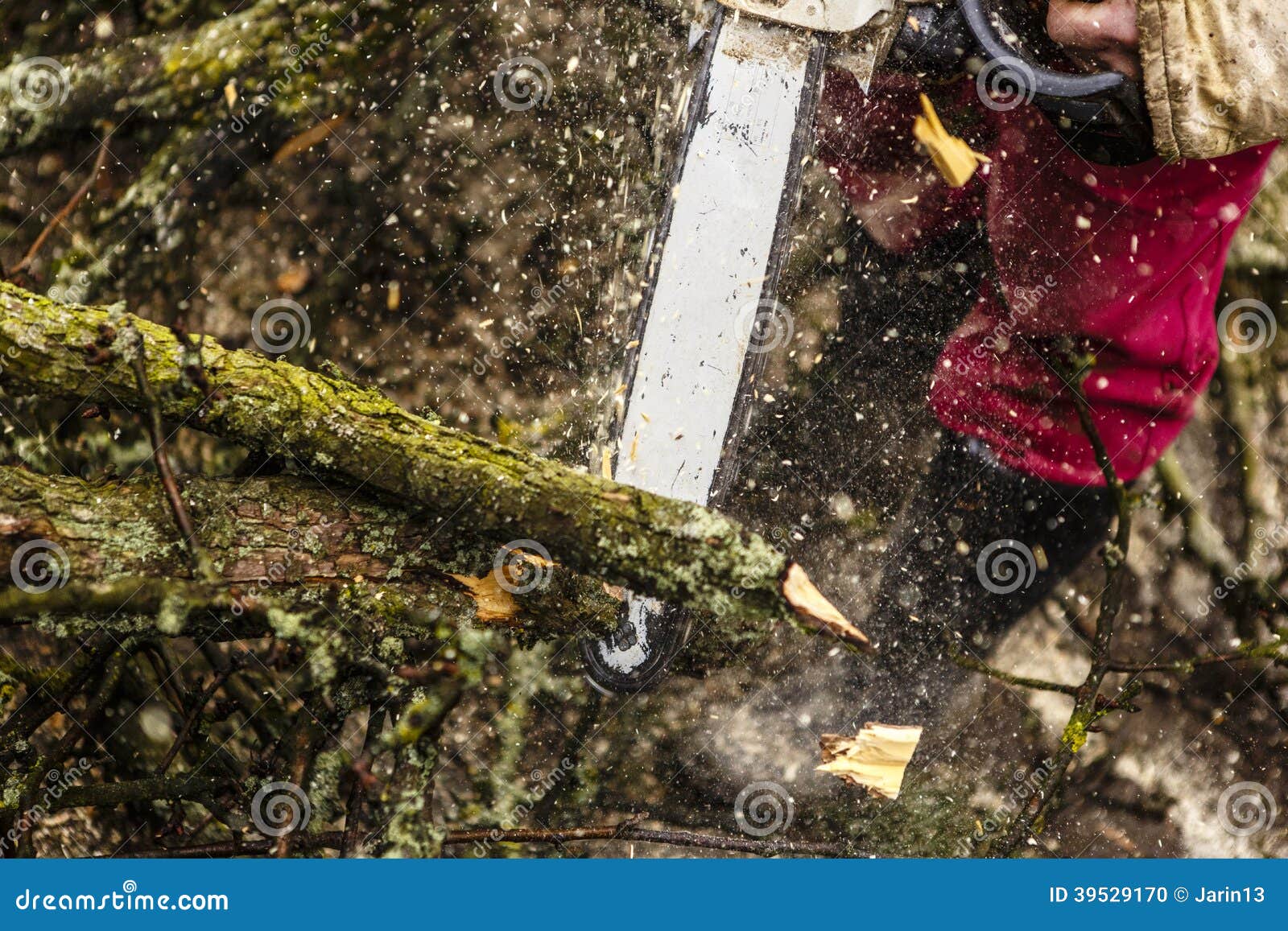 Man Sawing a Log in His Back Yard Stock Photo - Image of lumber, cutter ...