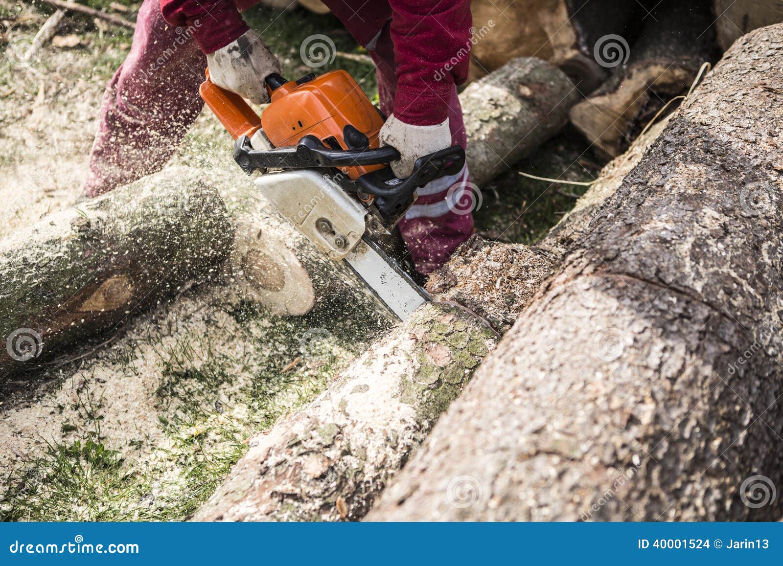 Man Sawing a Log in His Back Yard Stock Photo - Image of activity ...