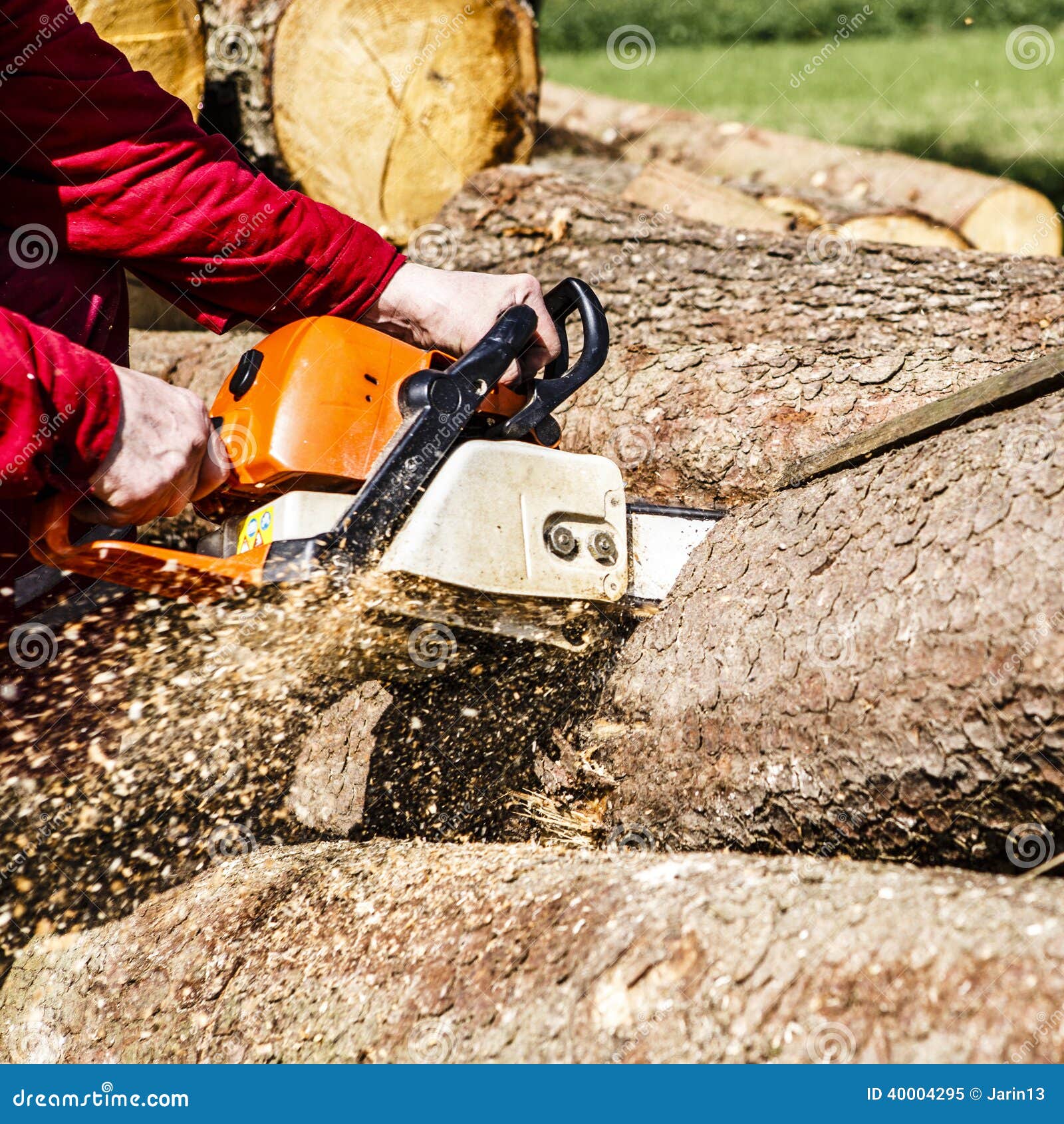 Man Sawing a Log in His Back Yard Stock Image - Image of garden ...