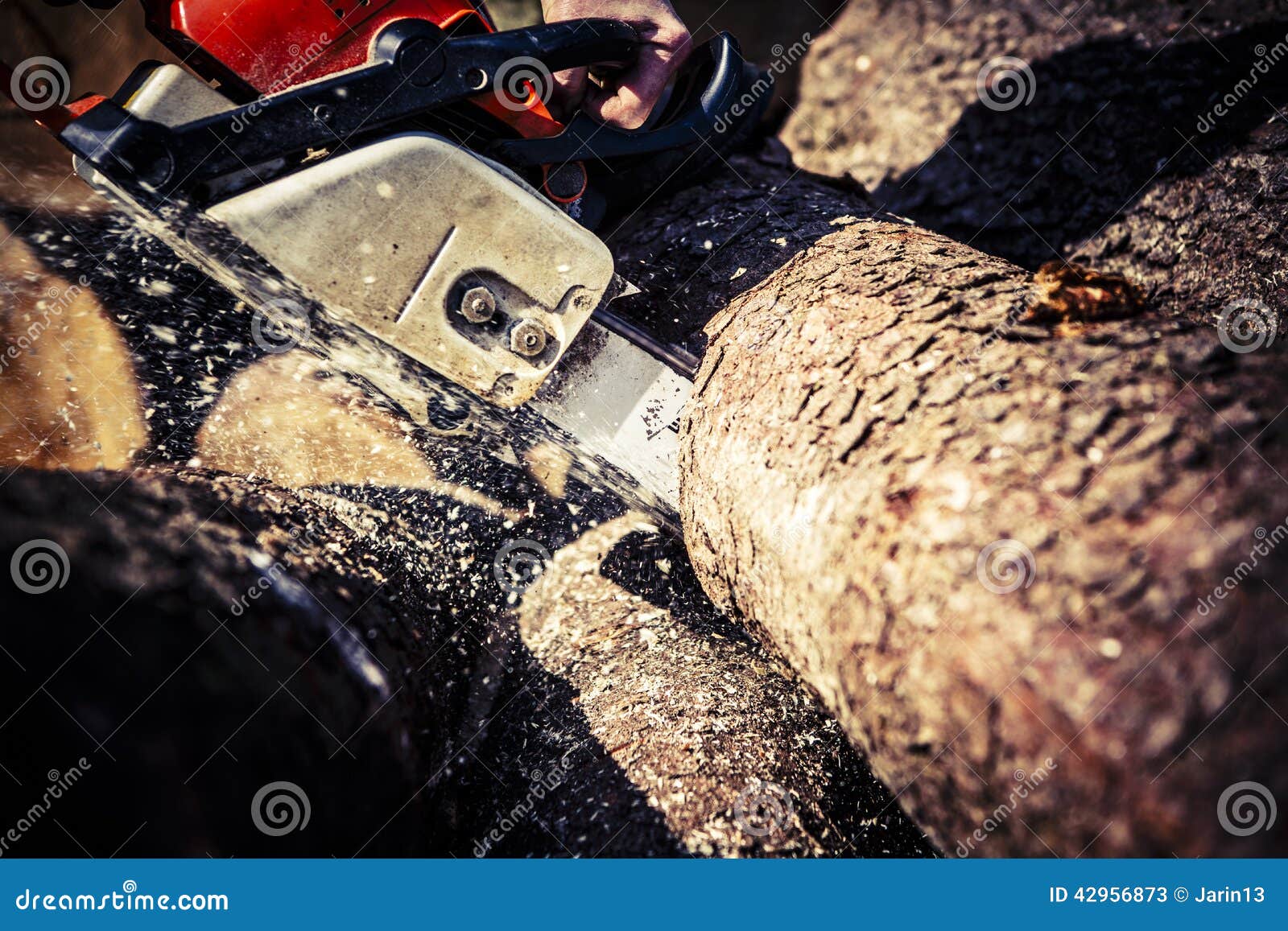 Man Sawing a Log in His Back Yard Stock Image - Image of agriculture ...