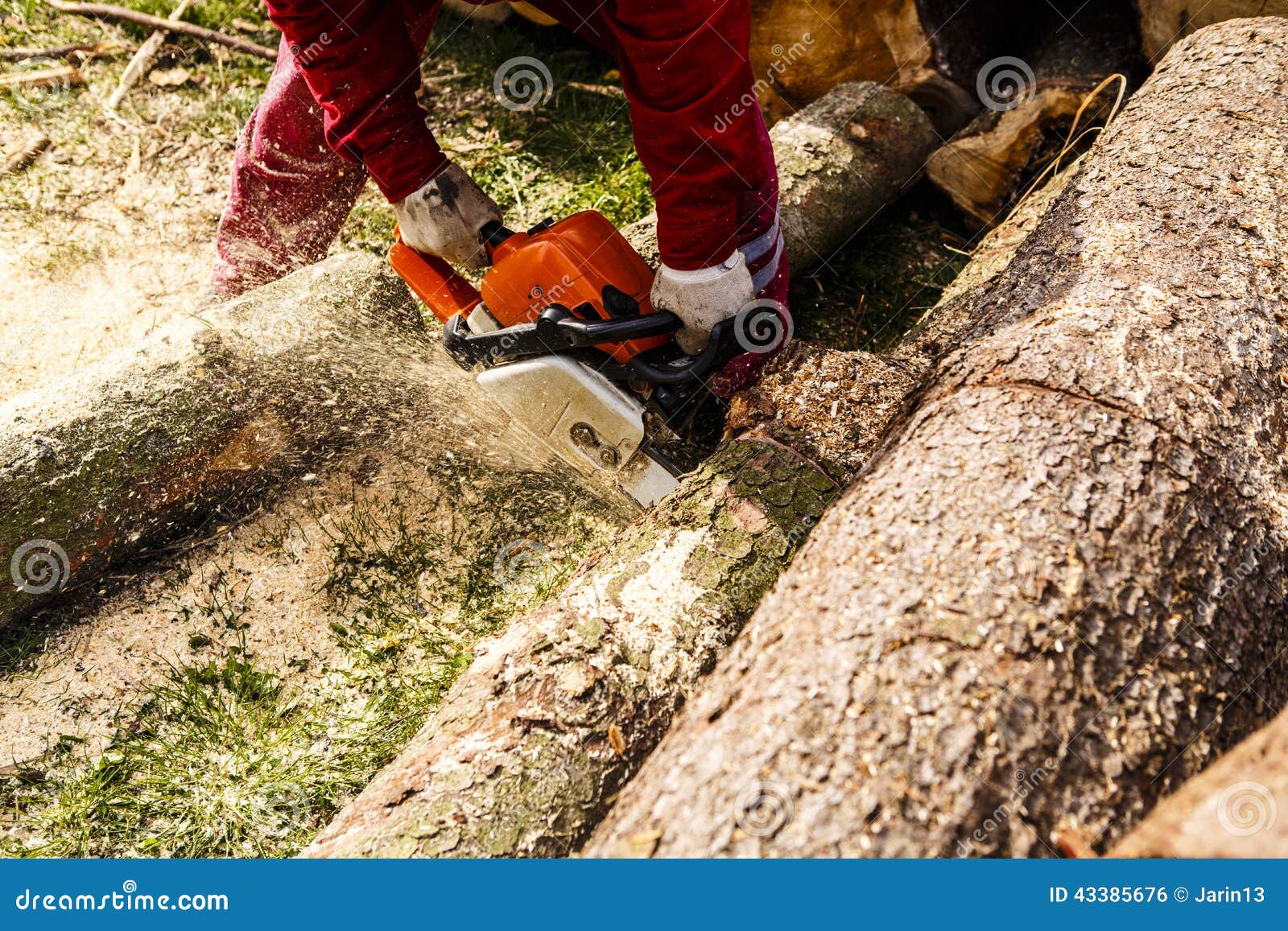 Man Sawing a Log in His Back Yard Stock Photo - Image of blade ...