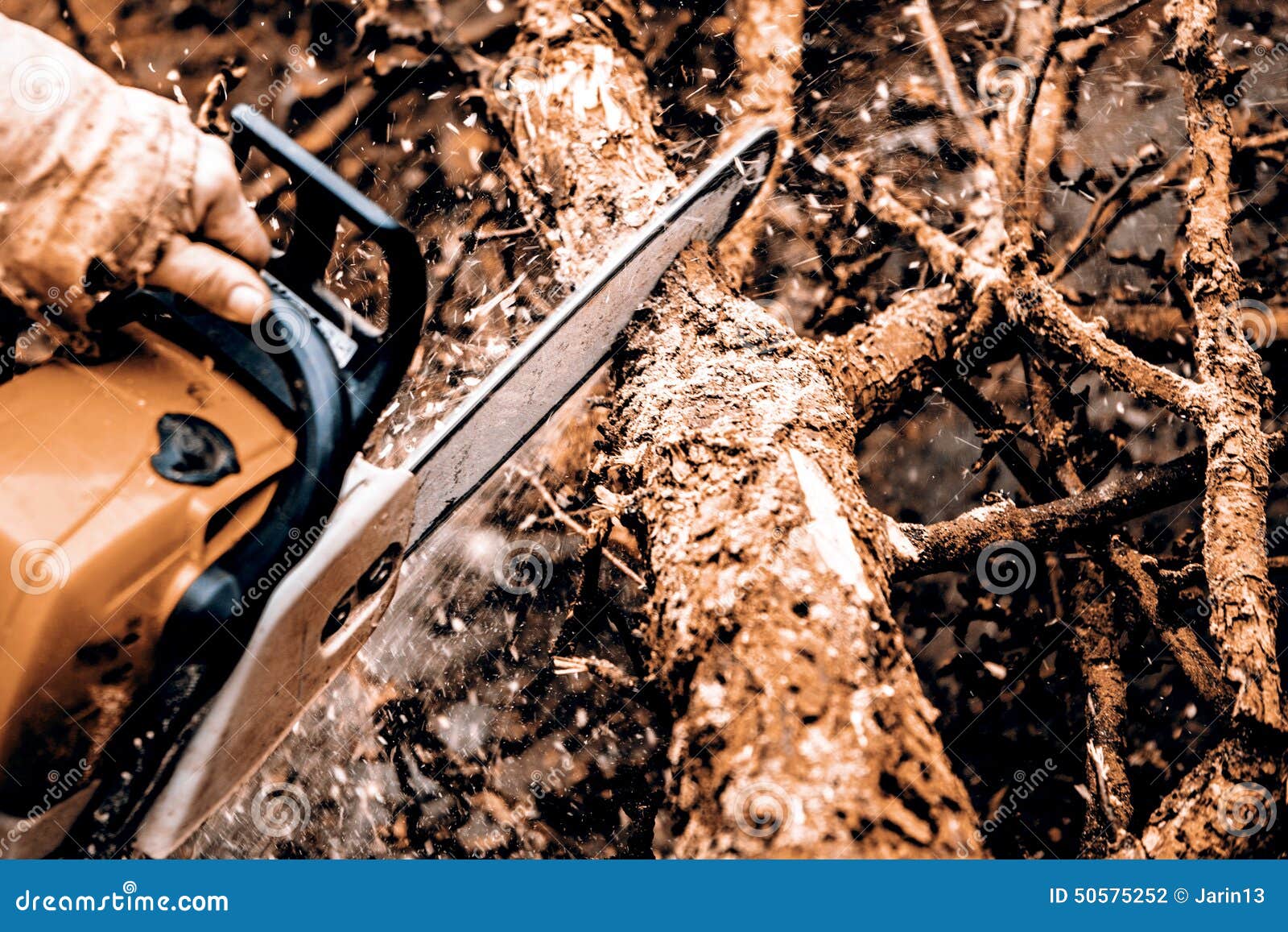 Man Sawing a Log in His Back Yard Stock Photo - Image of power, petrol ...