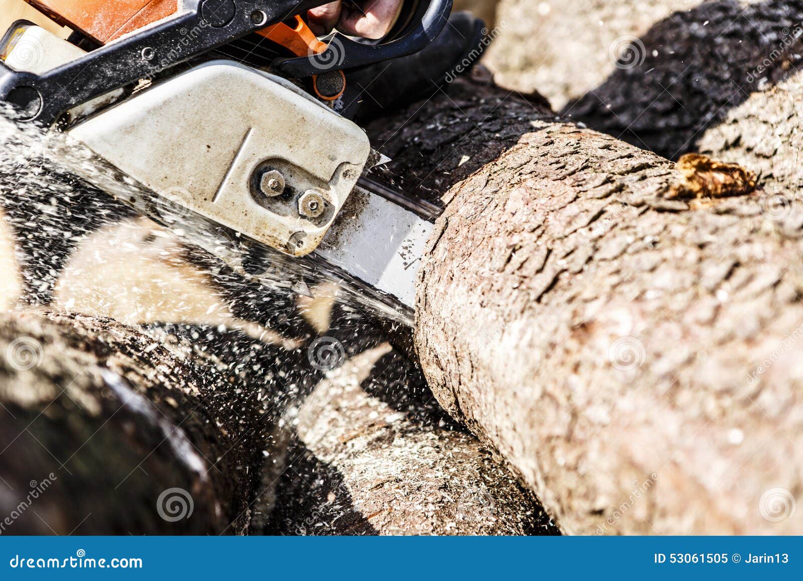 Man Sawing a Log in His Back Yard Stock Image - Image of firewood ...