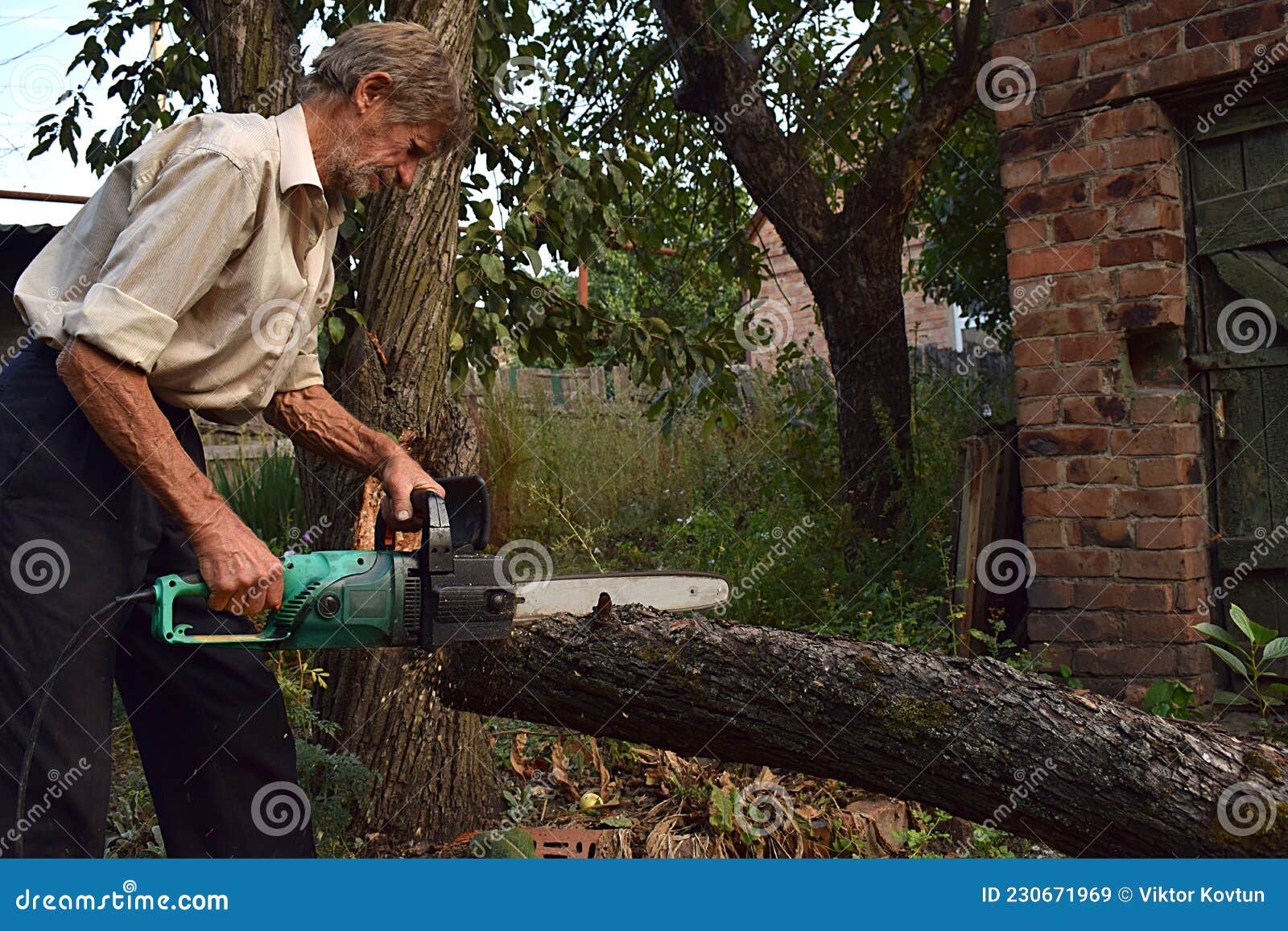 A Man is Sawing a Tree Branch. Stock Image - Image of nature, branch ...