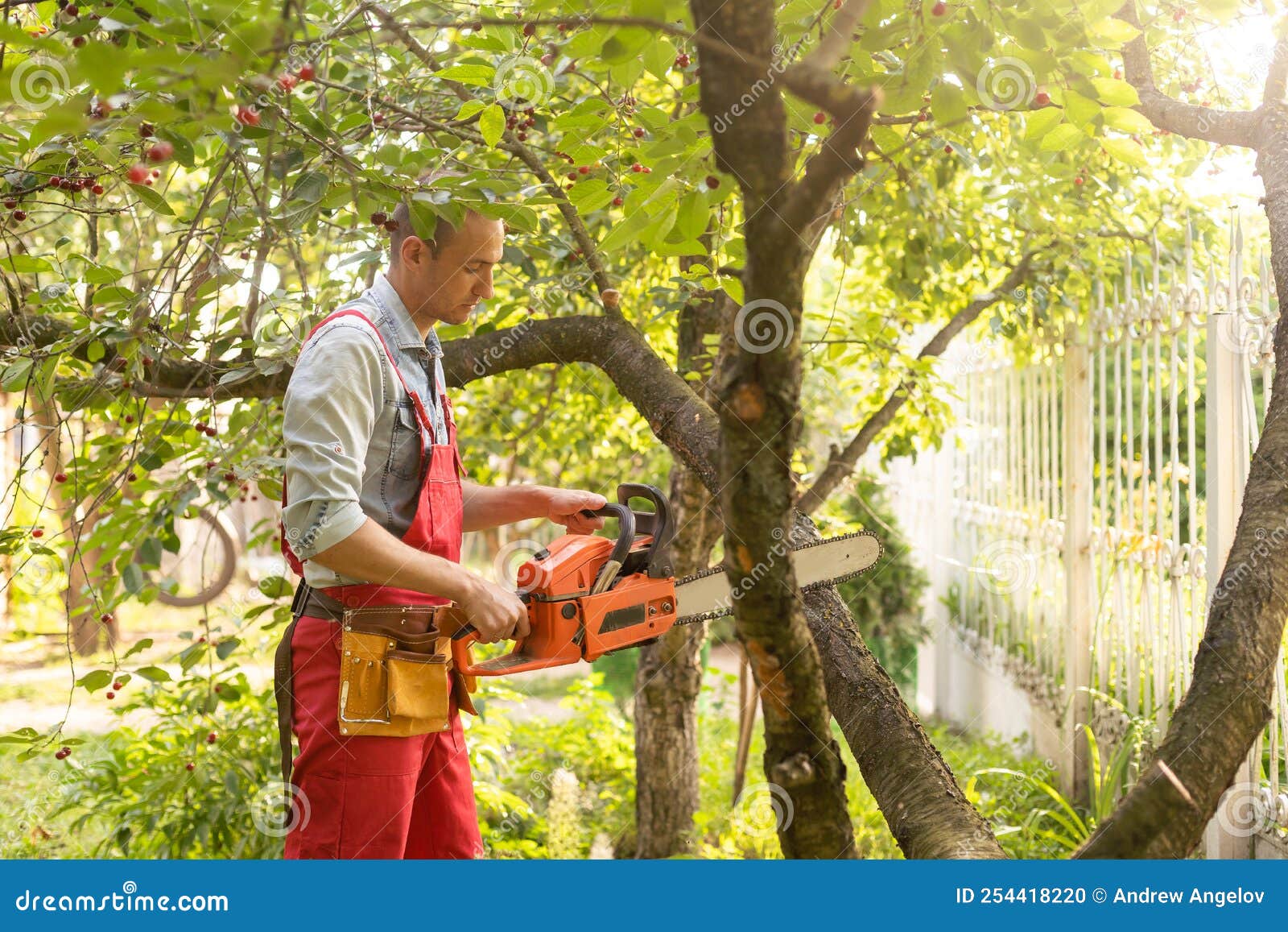 A Man is Sawing a Tree with a Chainsaw. Stock Photo - Image of male ...