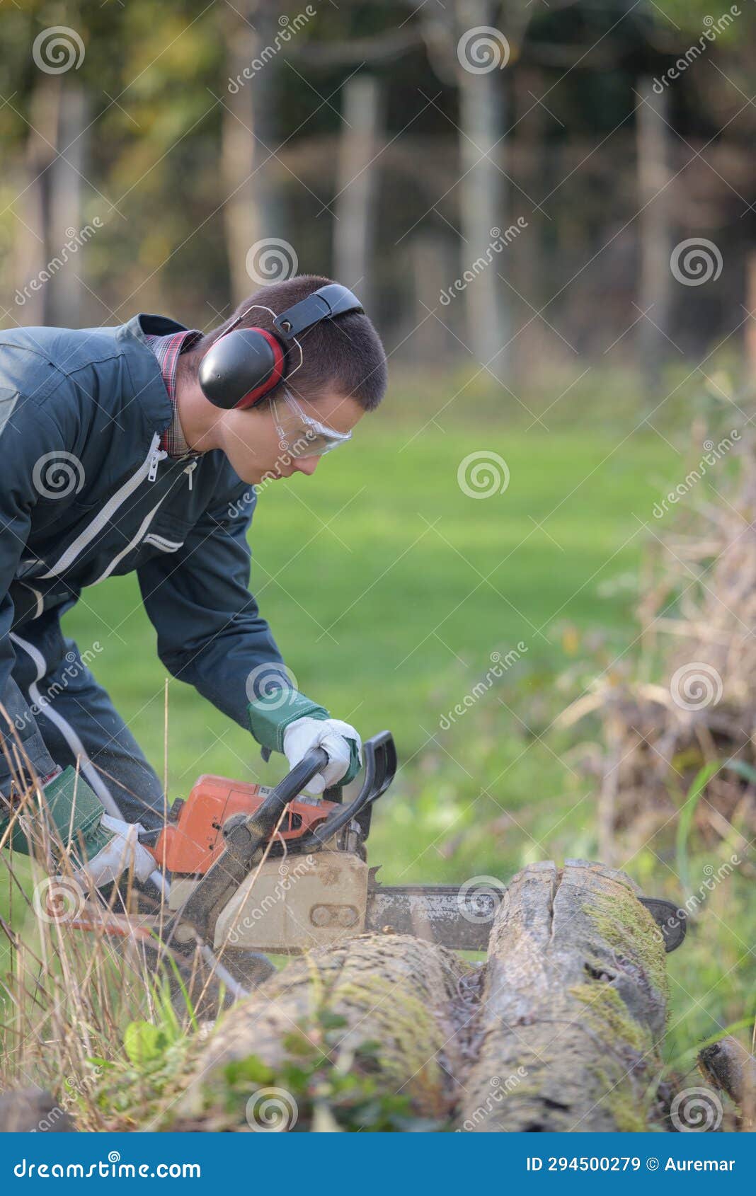 Man Sawing through Tree with Chainsaw Stock Image - Image of woodcutter ...
