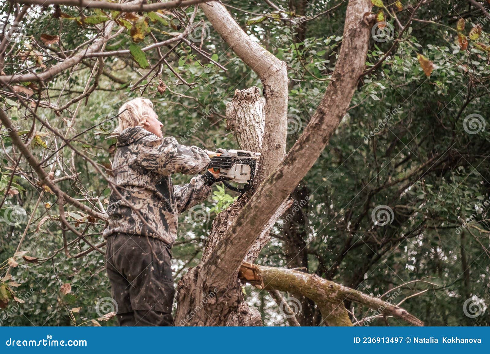 A Man is Sawing a Tree with a Chainsaw. Cutting Dry Branches, Pruning ...