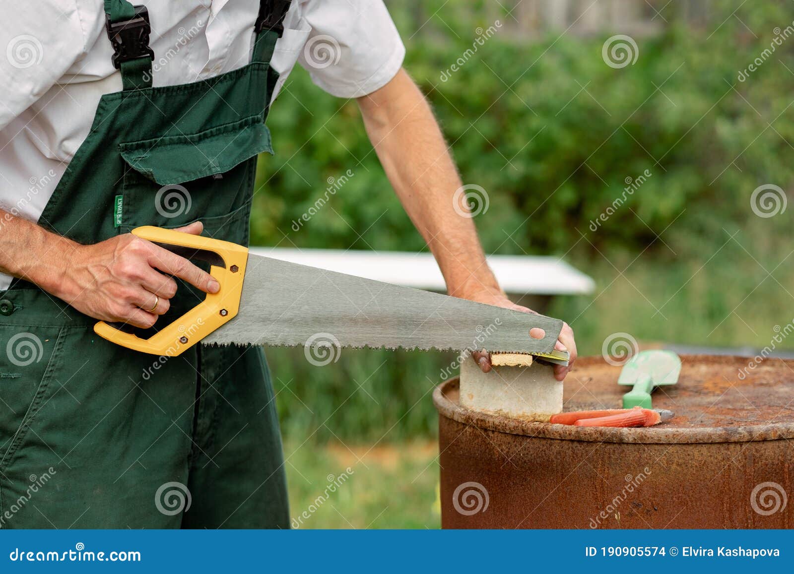 Man is sawing a tree stock photo. Image of nature, chip - 190905574