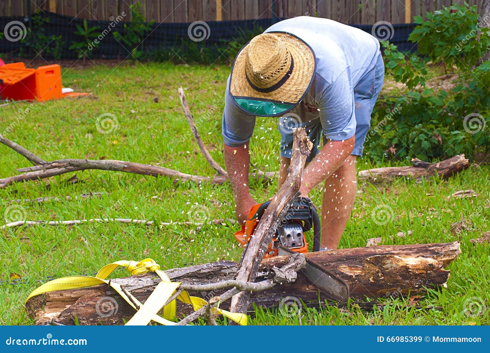 Man Sawing Up Limb stock image. Image of branches, trunk - 66985399