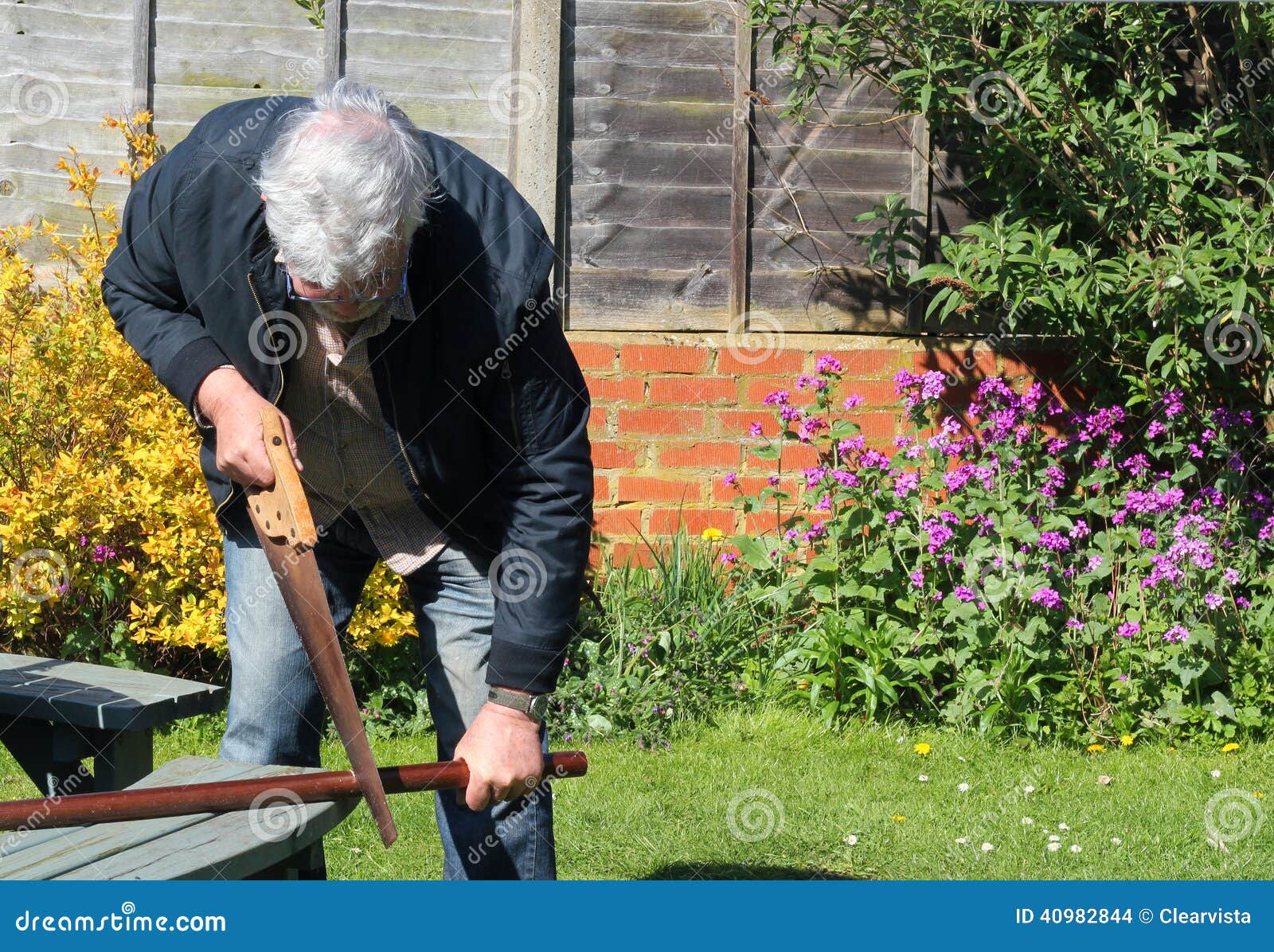 Man sawing wood. stock photo. Image of sawing, male, elderly - 40982844