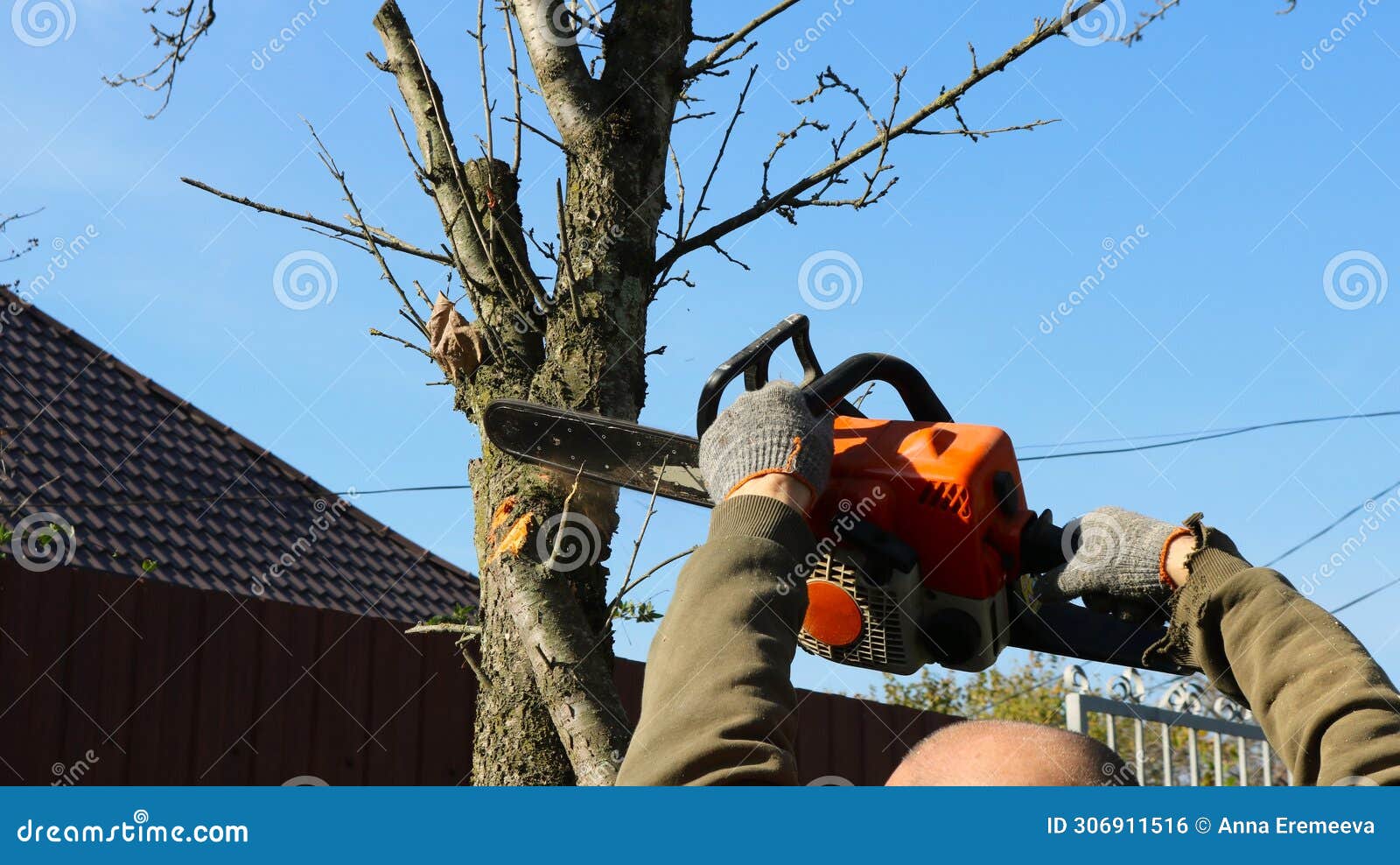 A Man Saws the Branches of a Tree with a Chainsaw Holding it Above His ...
