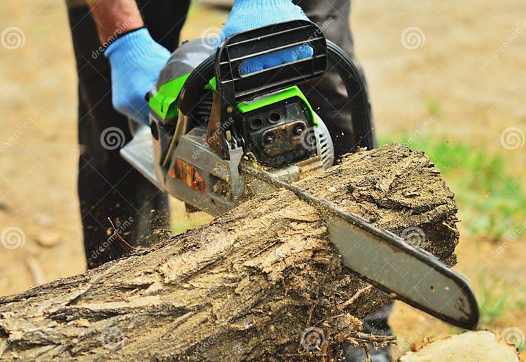 A Man Saws a Log with a Big Chainsaw Stock Image - Image of chainsaw ...