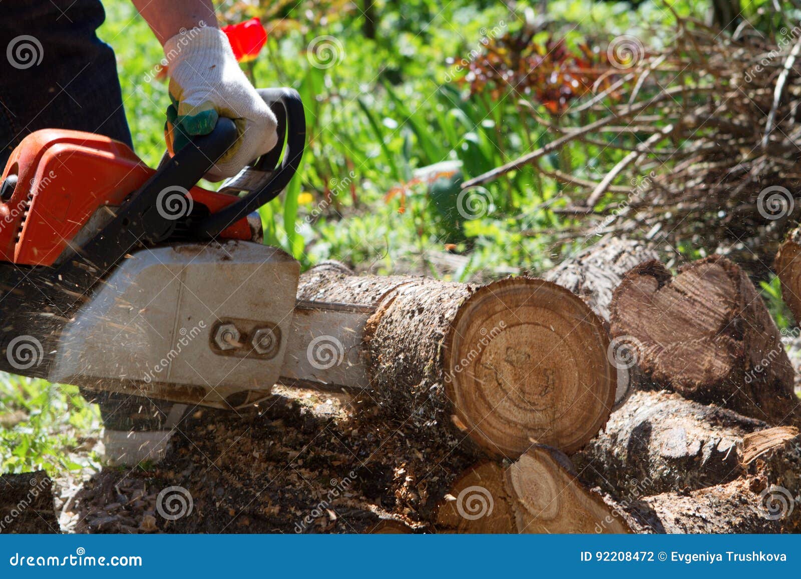 Man Saws a Log with a Chainsaw Stock Photo - Image of logger, branch ...