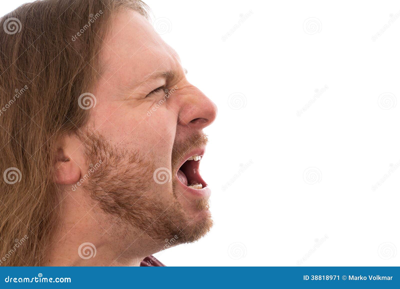 Man is screaming stock image. Image of rage, scream, profile - 38818971