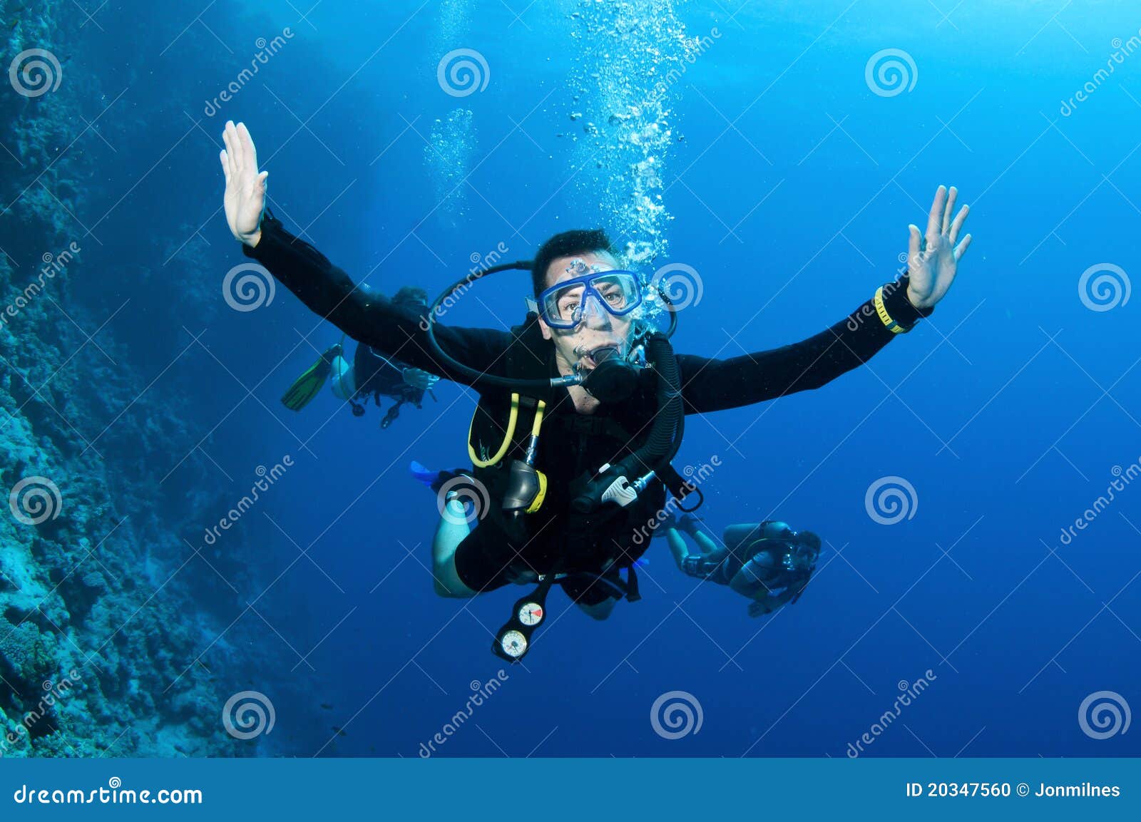 Man scuba diver stock photo. Image of scuba, active, ecosystem - 20347560