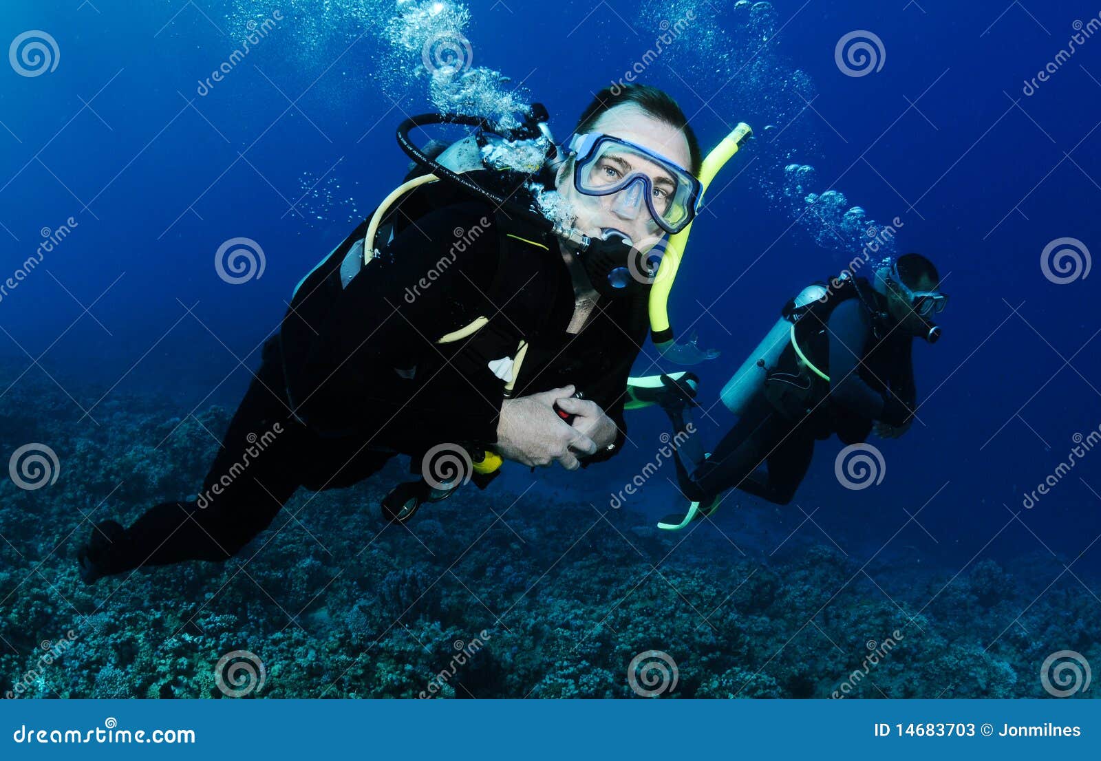 Man Scuba Diver Diving Underwater Stock Image - Image of mask, tropical ...