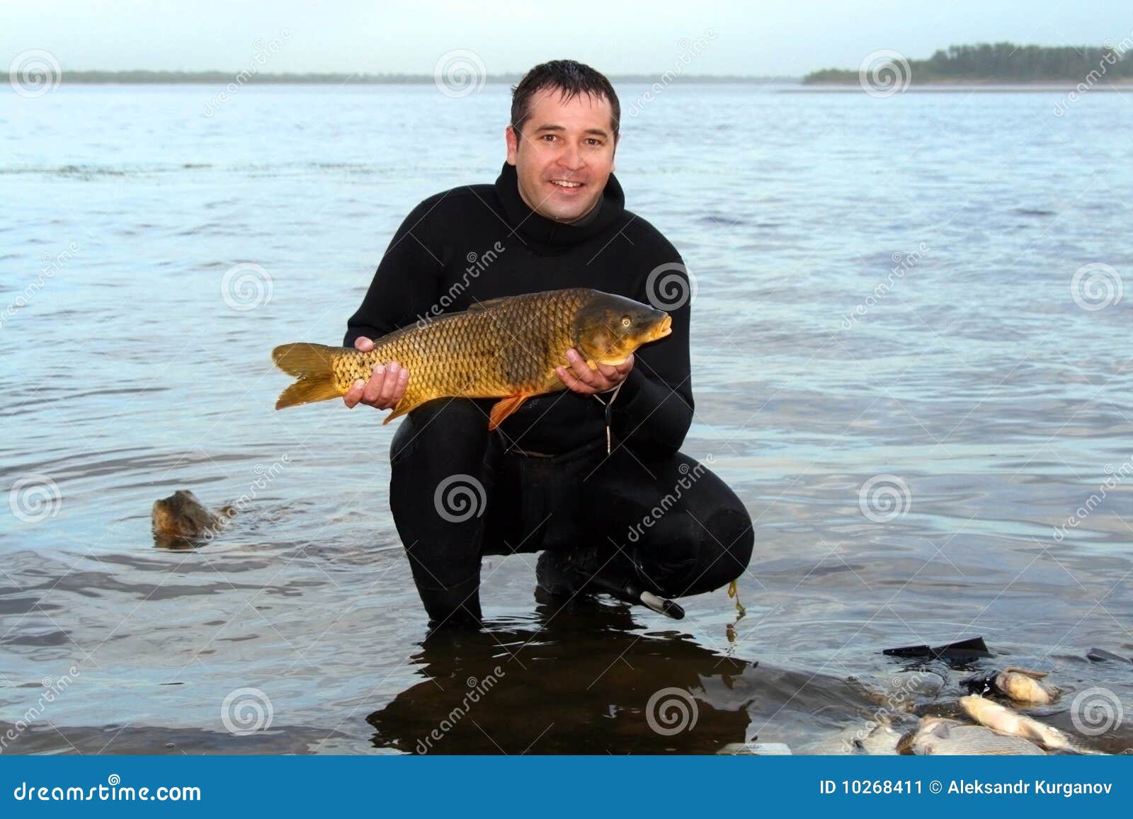 Trident Spearfish Stock Photos - Free & Royalty-Free Stock Photos from ...