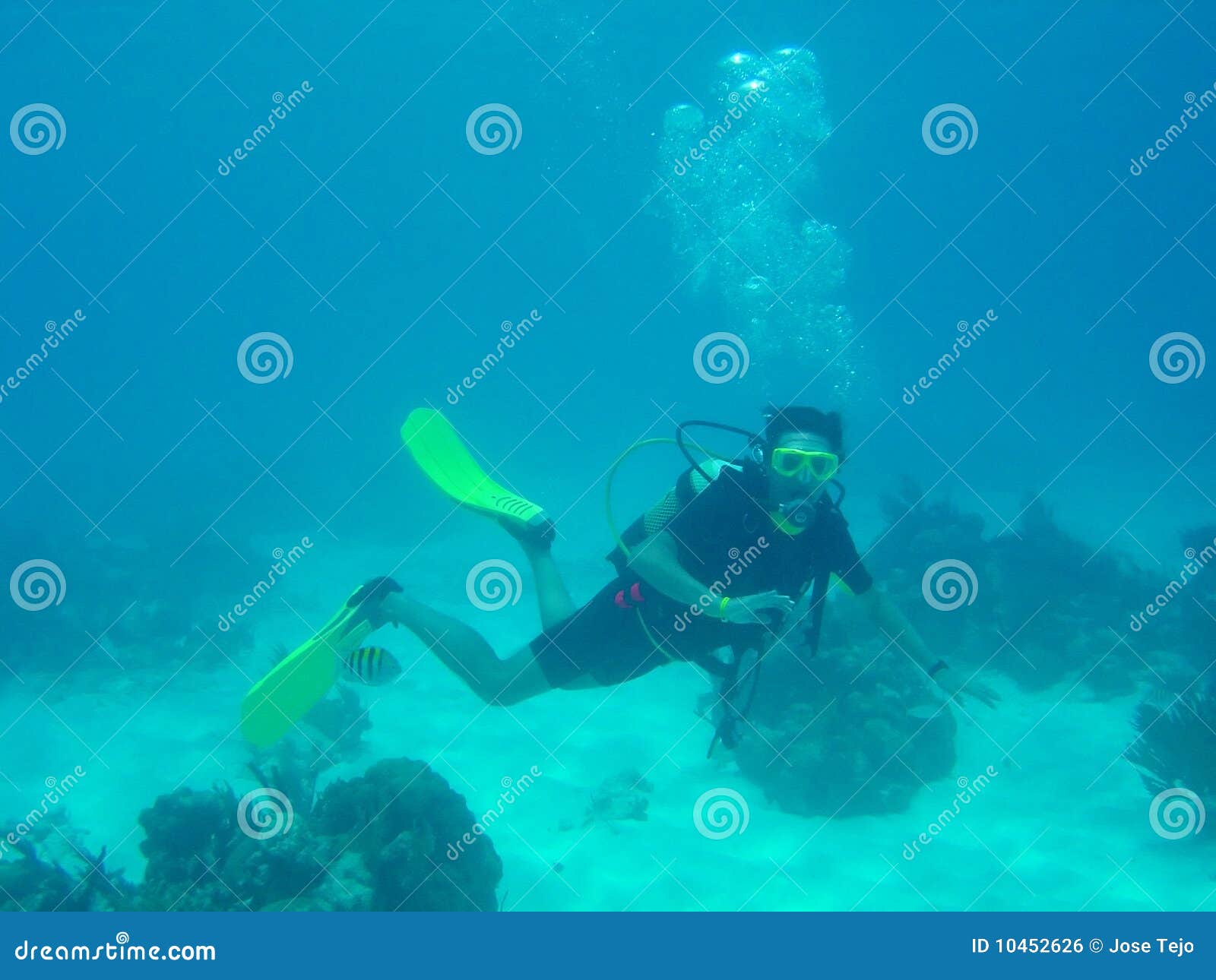 Man scuba diving stock photo. Image of water, scuba, sports - 10452626