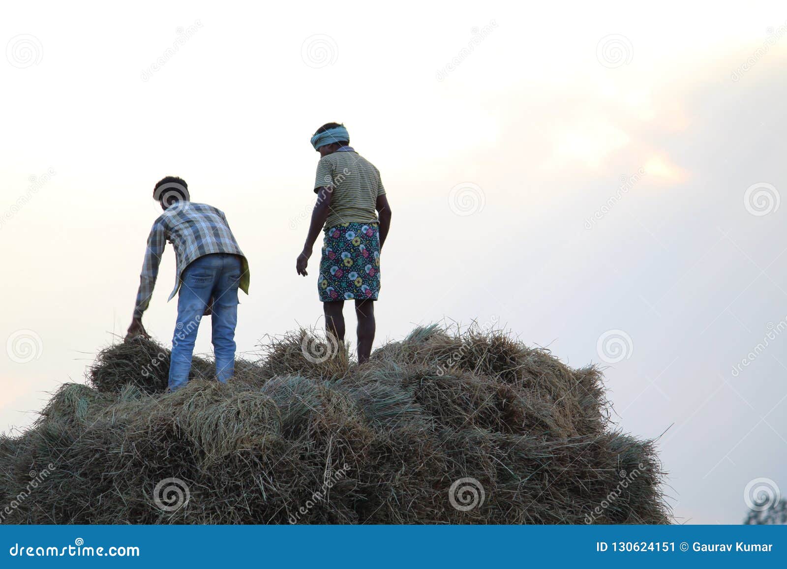 Man Loading Rice Grains Editorial Image | CartoonDealer.com #130624152