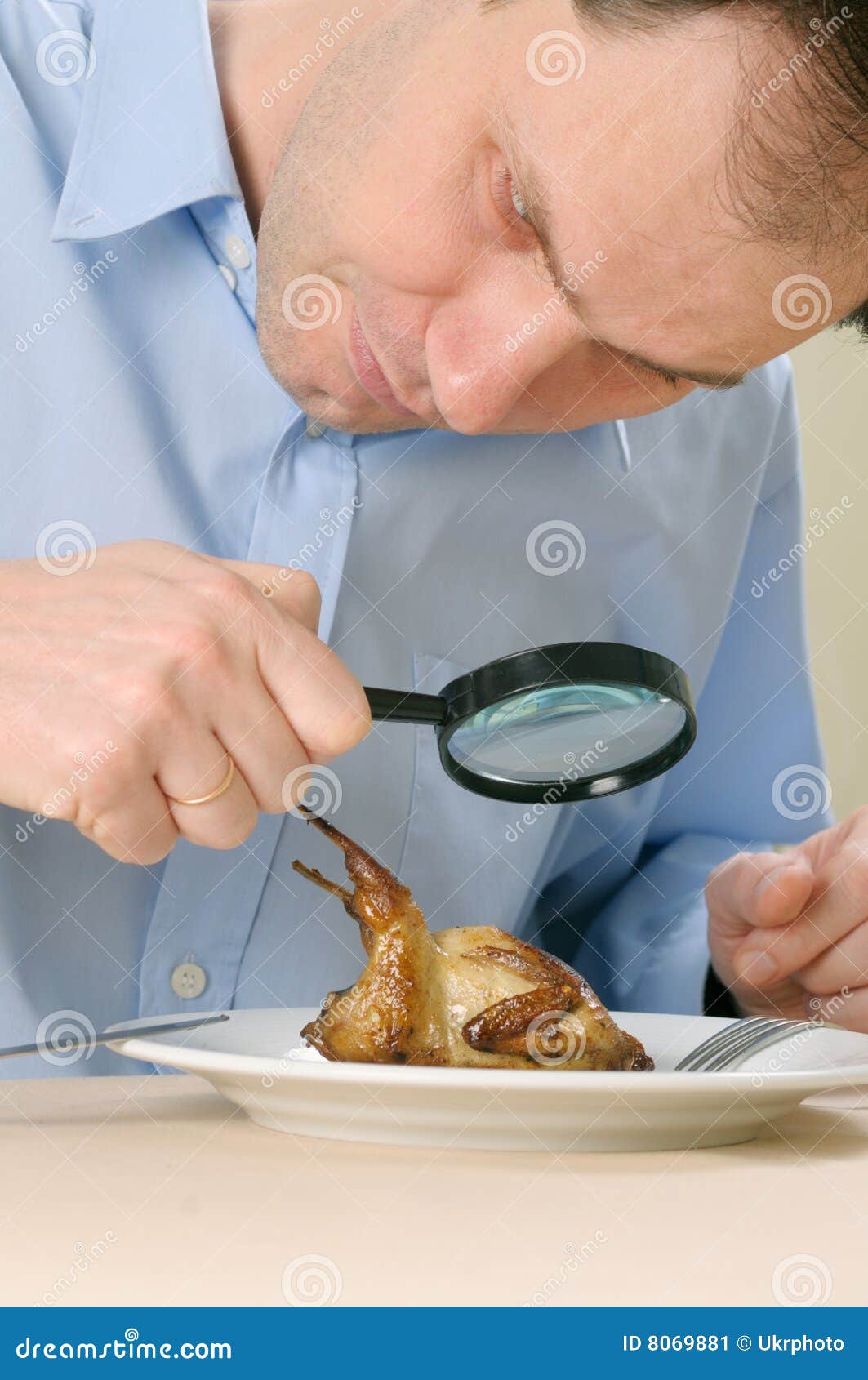 Man seeking food on plate stock image. Image of poultry - 8069881
