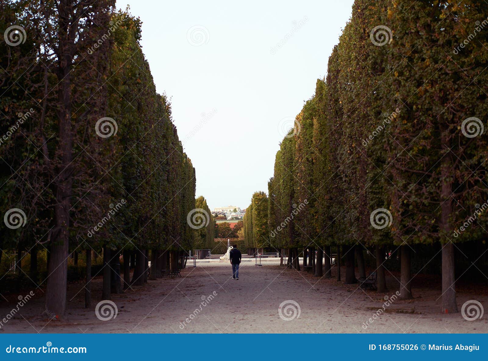 Man walking in the park stock photo. Image of mature - 168755026