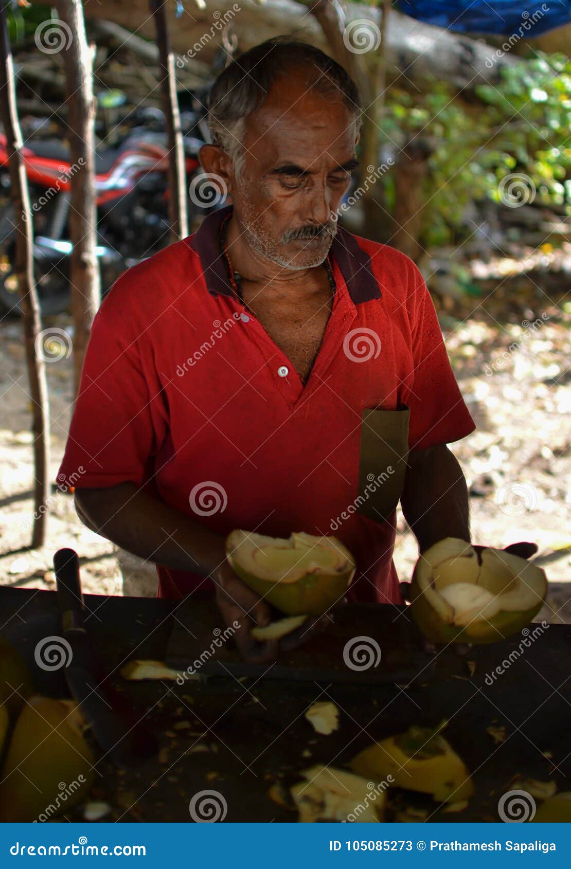 Man Selling Coconuts editorial stock photo. Image of concept - 105085273
