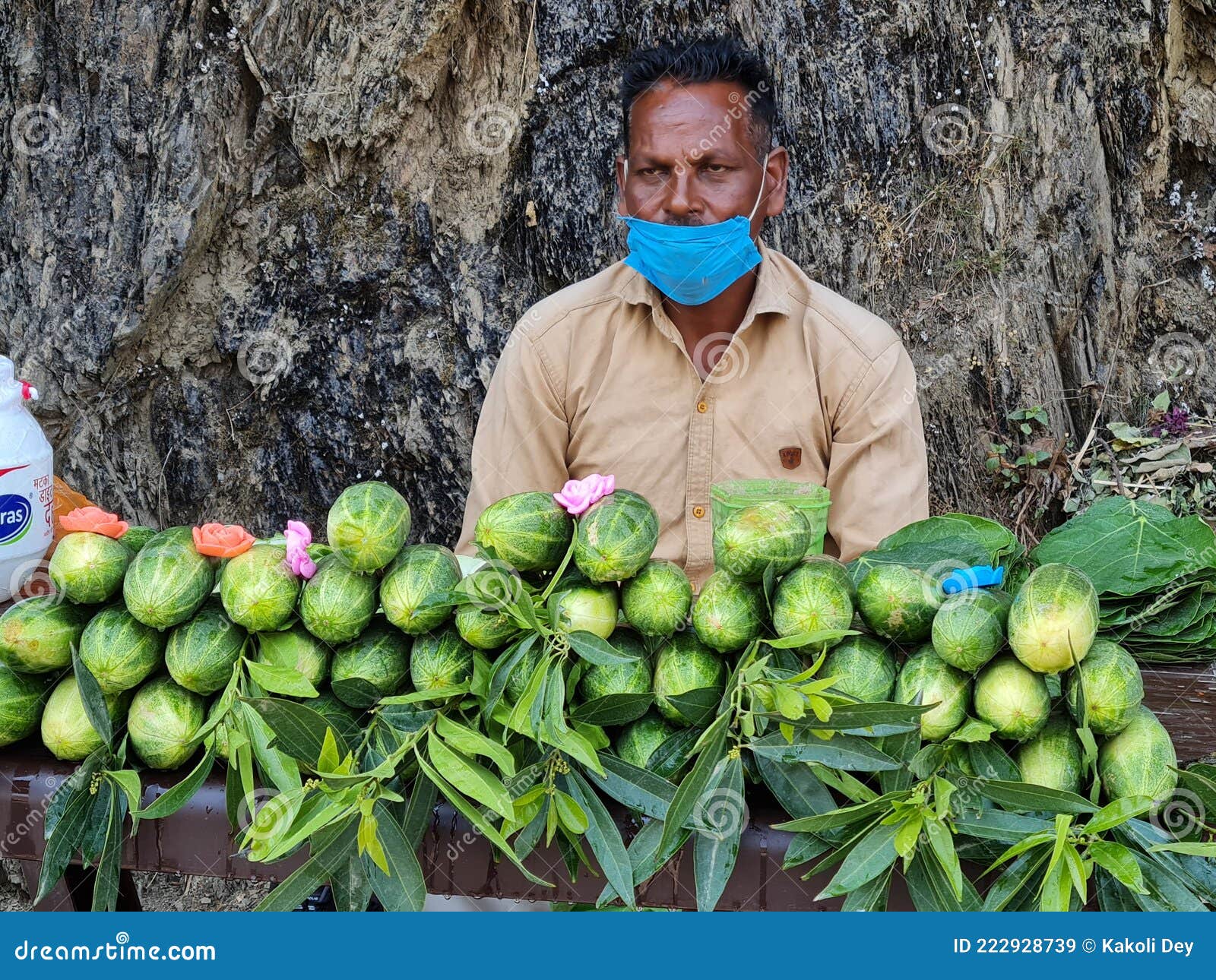 A Man Selling Cucumber in Rishikesh Uttarakhand Editorial Stock Image ...