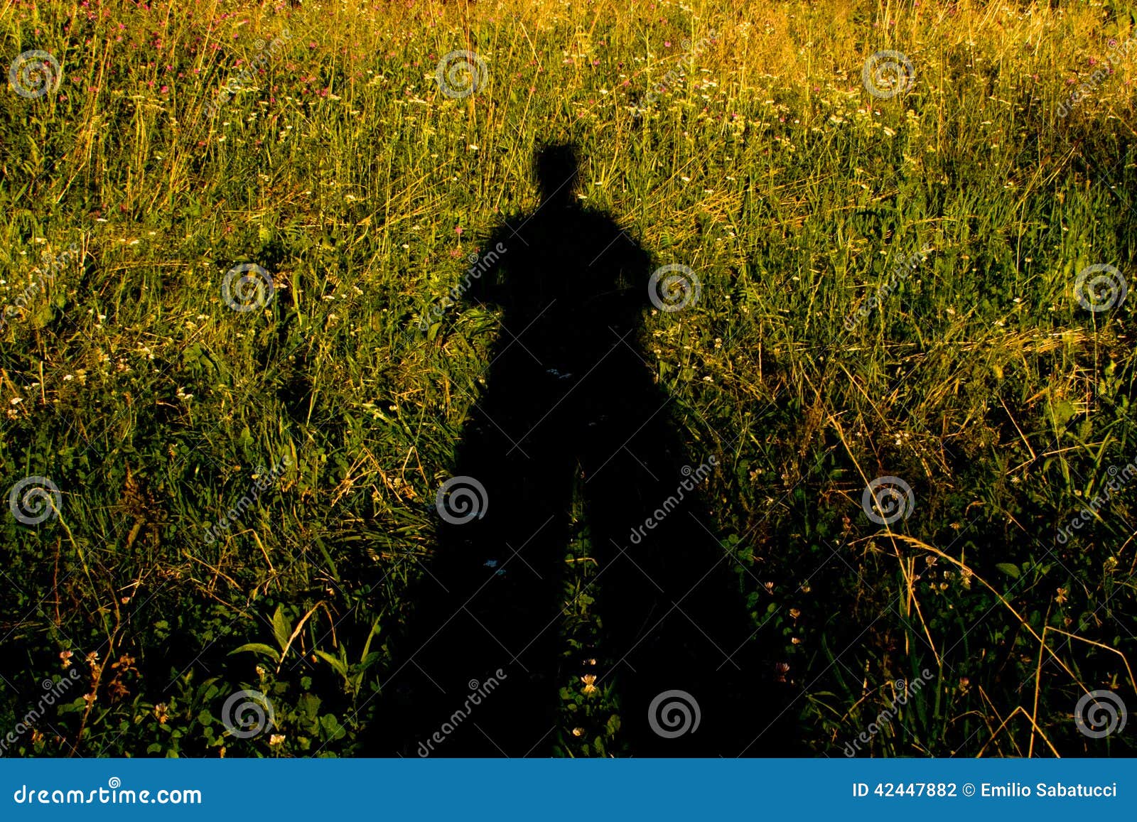 Man shadow stock photo. Image of grass, human, yellow - 42447882