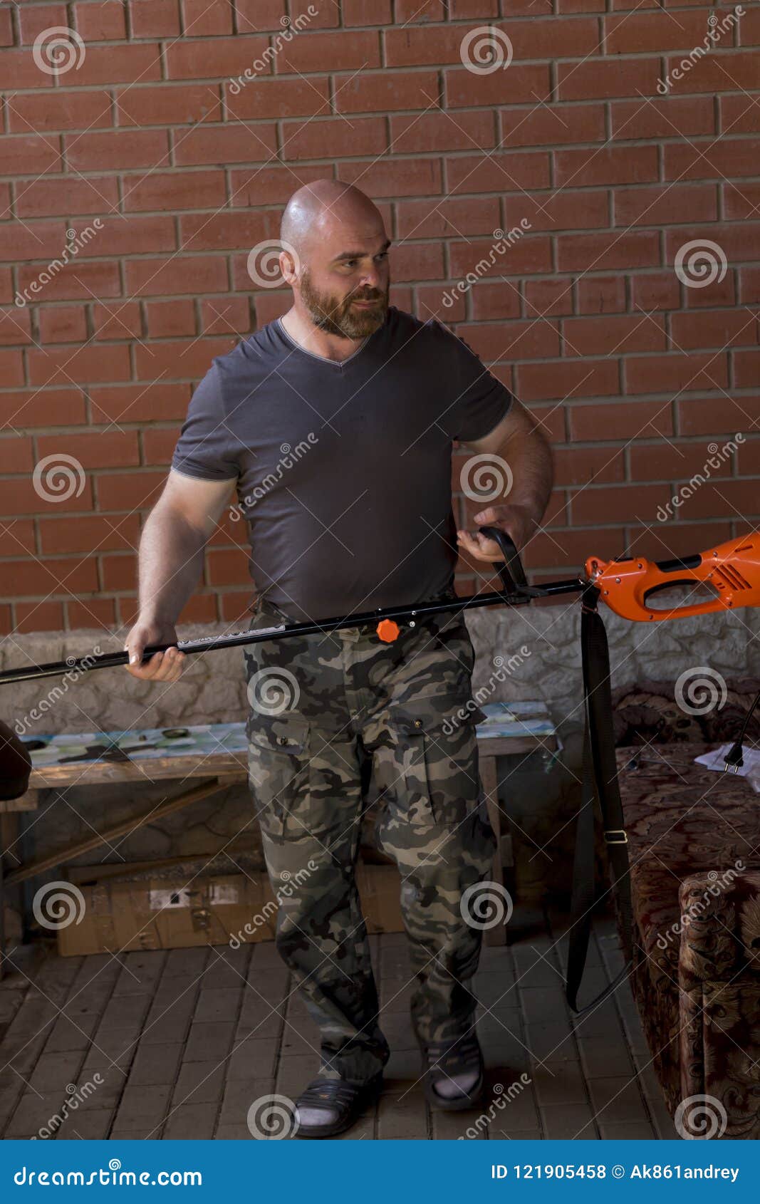 Portrait of a Man with a Beard Stock Photo - Image of landscape, wall ...