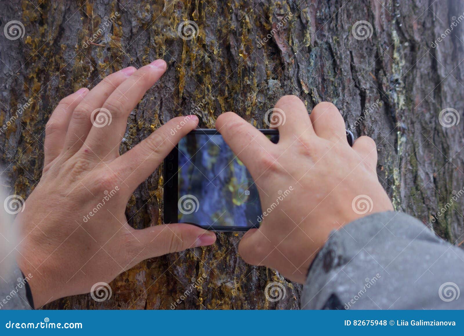 Man shooting tree stock photo. Image of cellphone, device - 82675948
