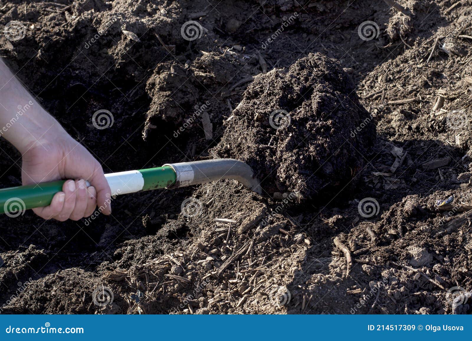 Man with Shovel Digging Garden Bed. Farmer, Worker Man Digging Soil ...