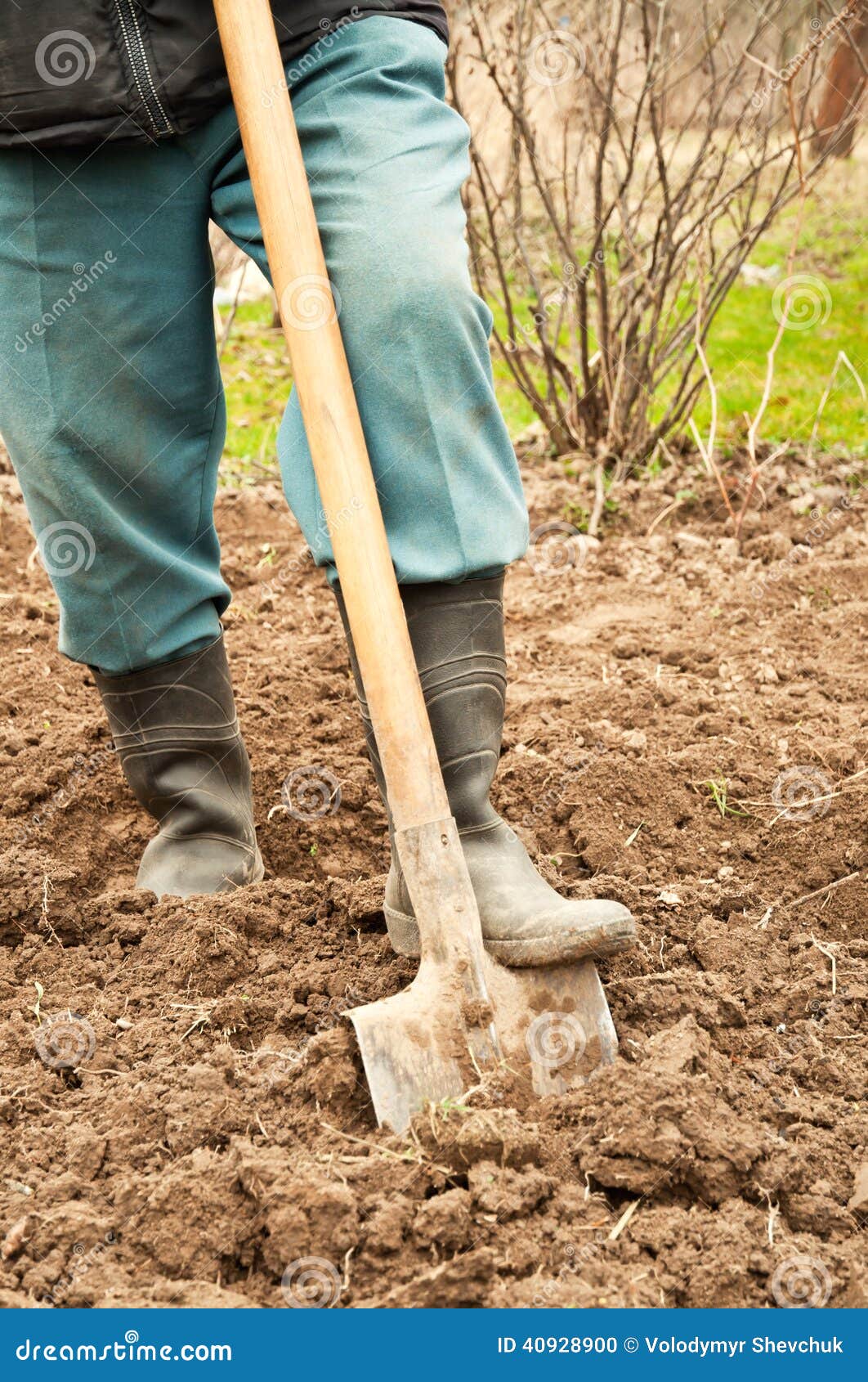 Man with shovel stock photo. Image of shovel, weed, garden - 40928900