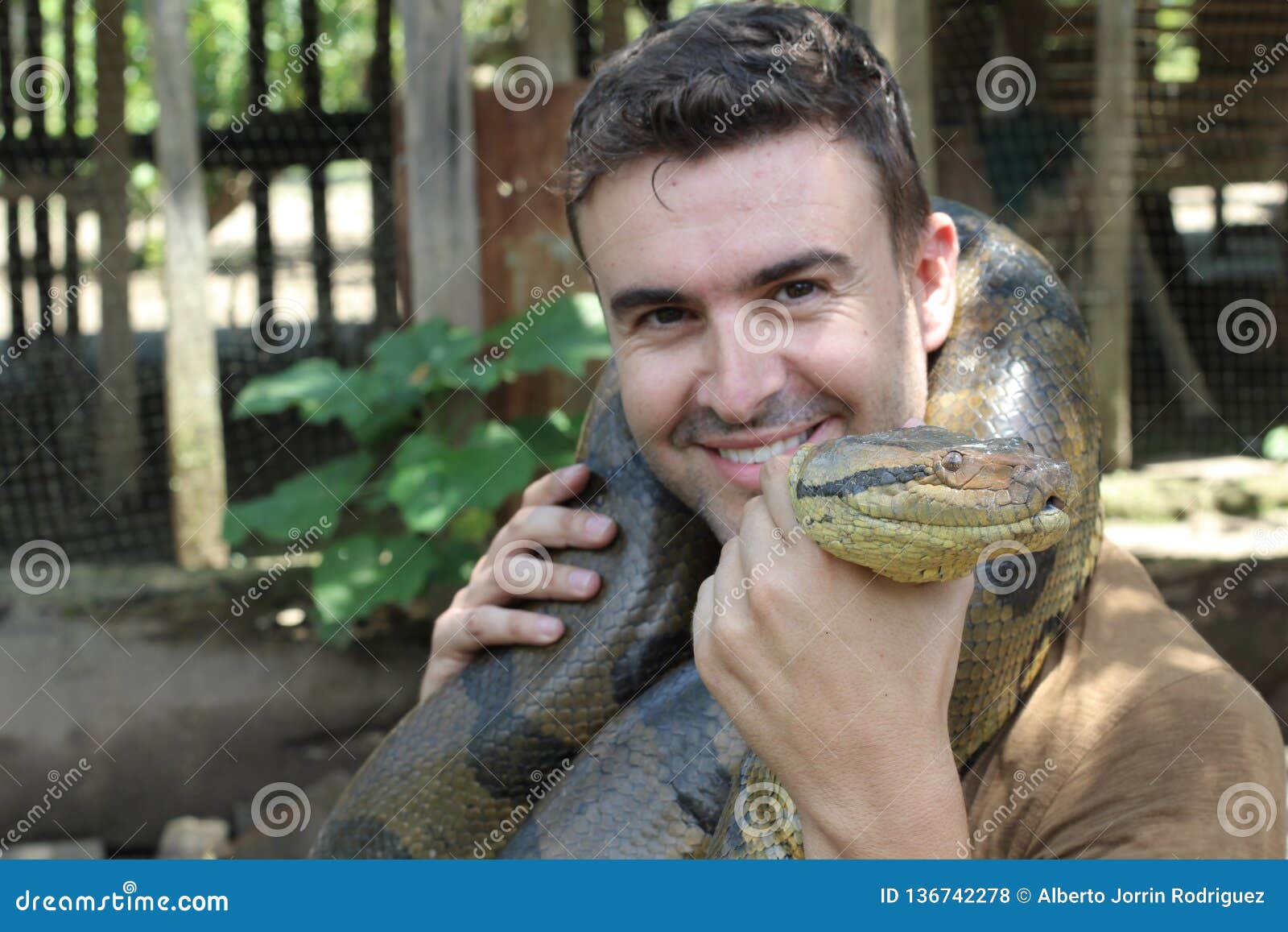 Man Showing Affection for a Gigantic Snake Stock Photo - Image of kiss ...