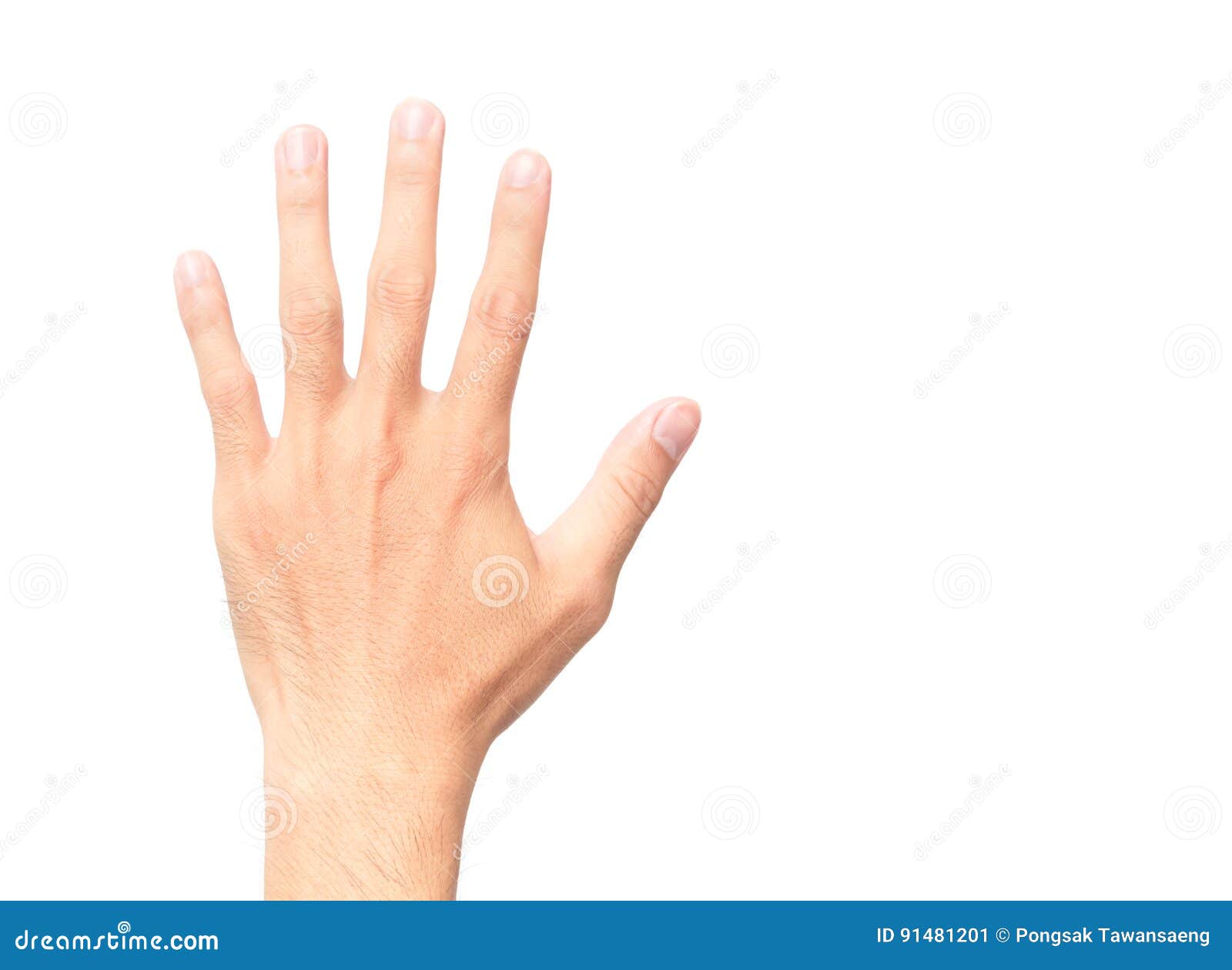 White Person Hand