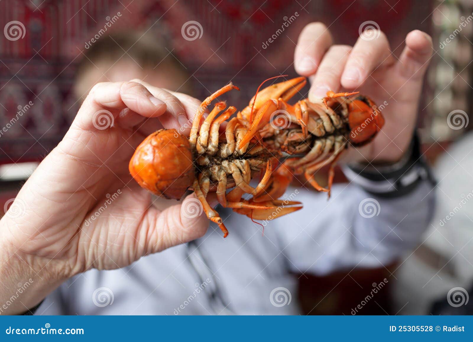 Man showing crawfish stock photo. Image of claw, spicy - 25305528