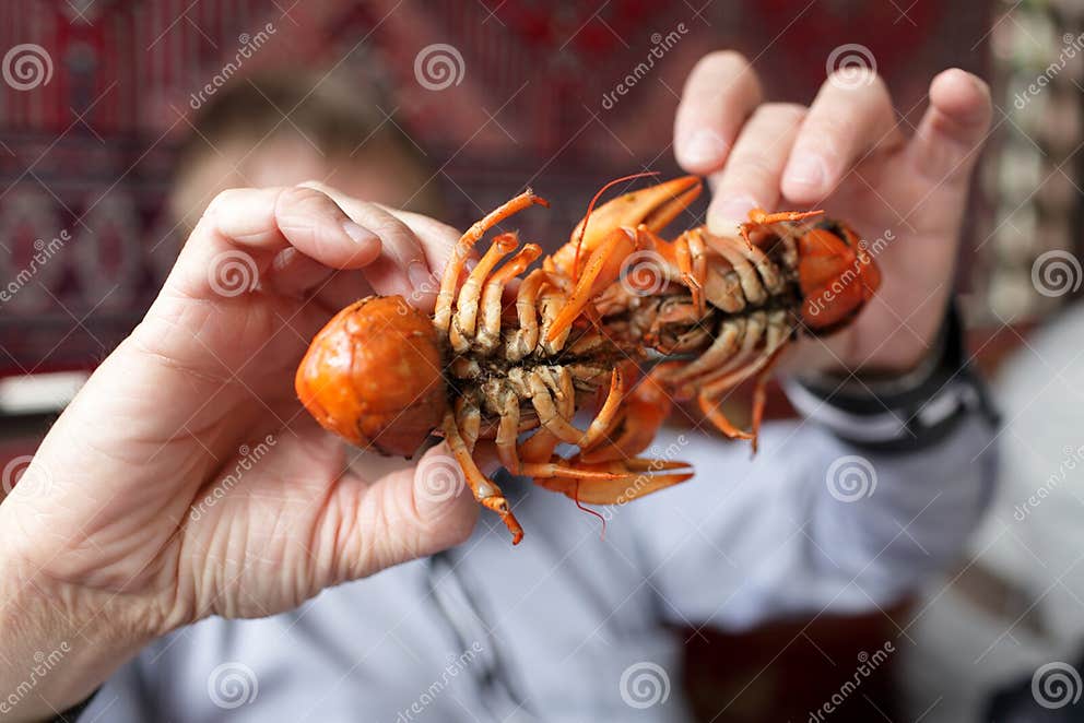 Man showing crawfish stock photo. Image of claw, spicy - 25305528
