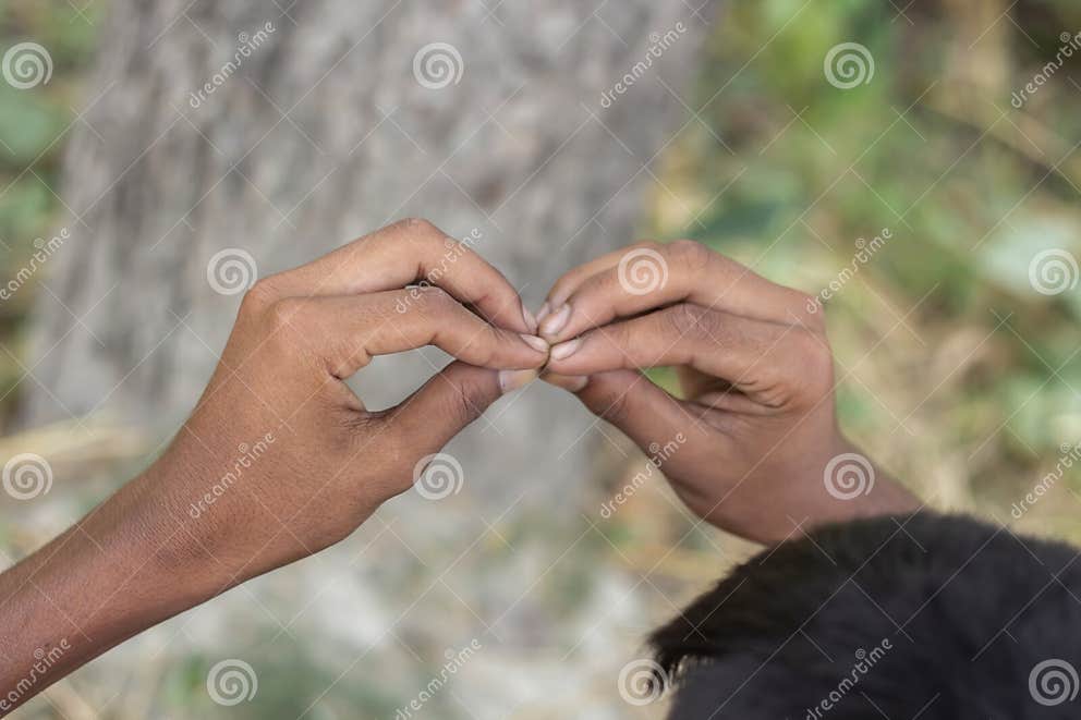 A Man Showing Two Hand Join and Blur Background Stock Photo - Image of ...