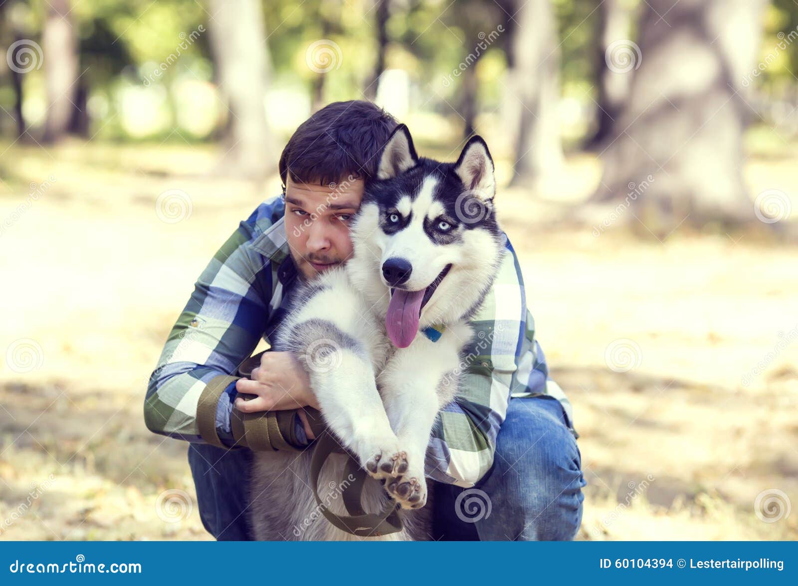 Man and the Siberian Husk stock photo. Image of autumn - 60104394