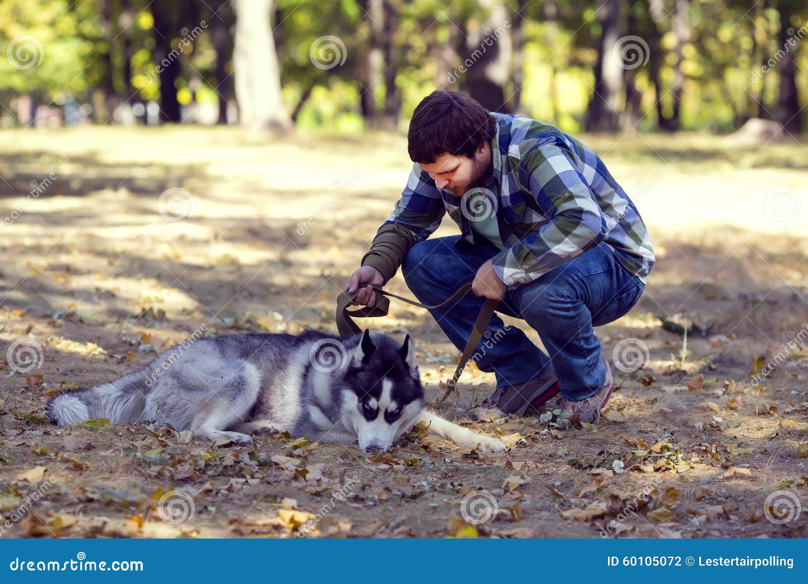 Man and the Siberian Husk stock photo. Image of husk - 60105072