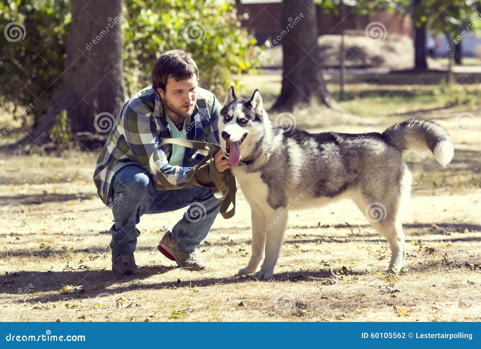 Man and the Siberian Husk stock photo. Image of alaskan - 60105562
