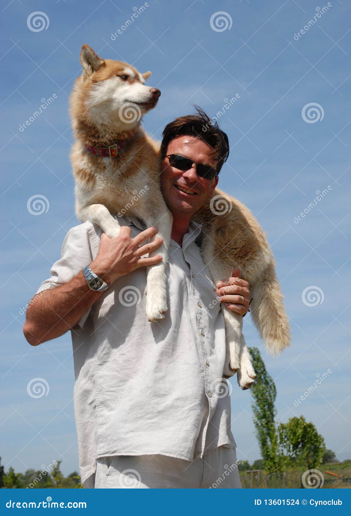 Man and siberian husky stock photo. Image of friendship - 13601524