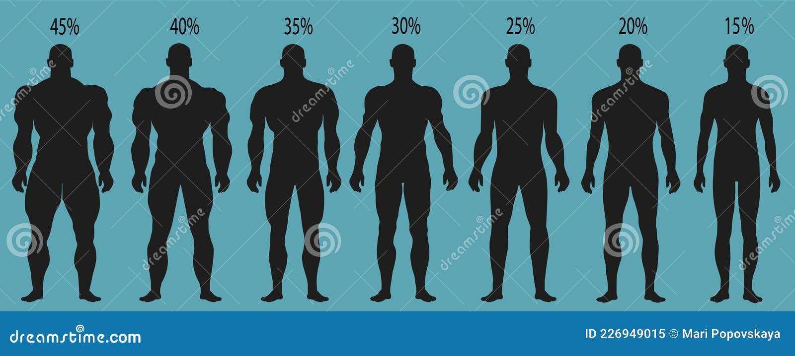 Man Silhouettes with Different Muscle Degrees. Stock Vector ...