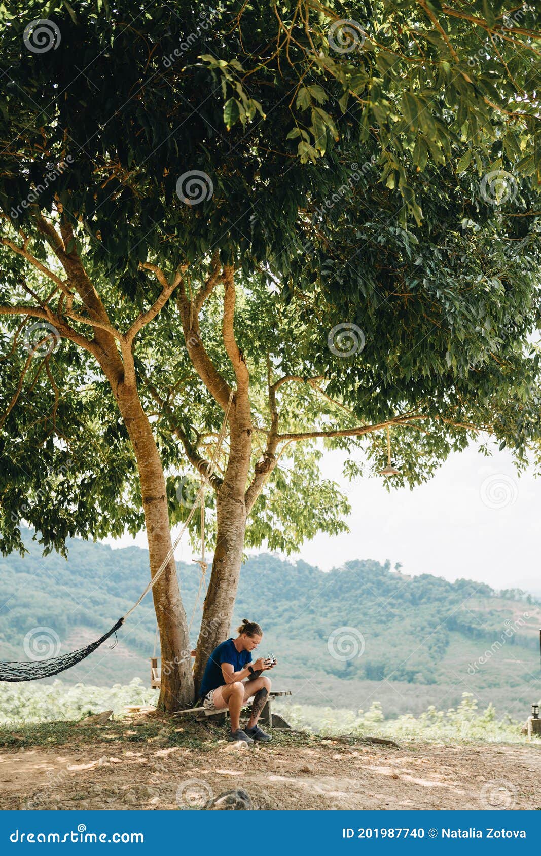 Man is Siting Under a Tree at View Point and Controlling Drone Stock ...