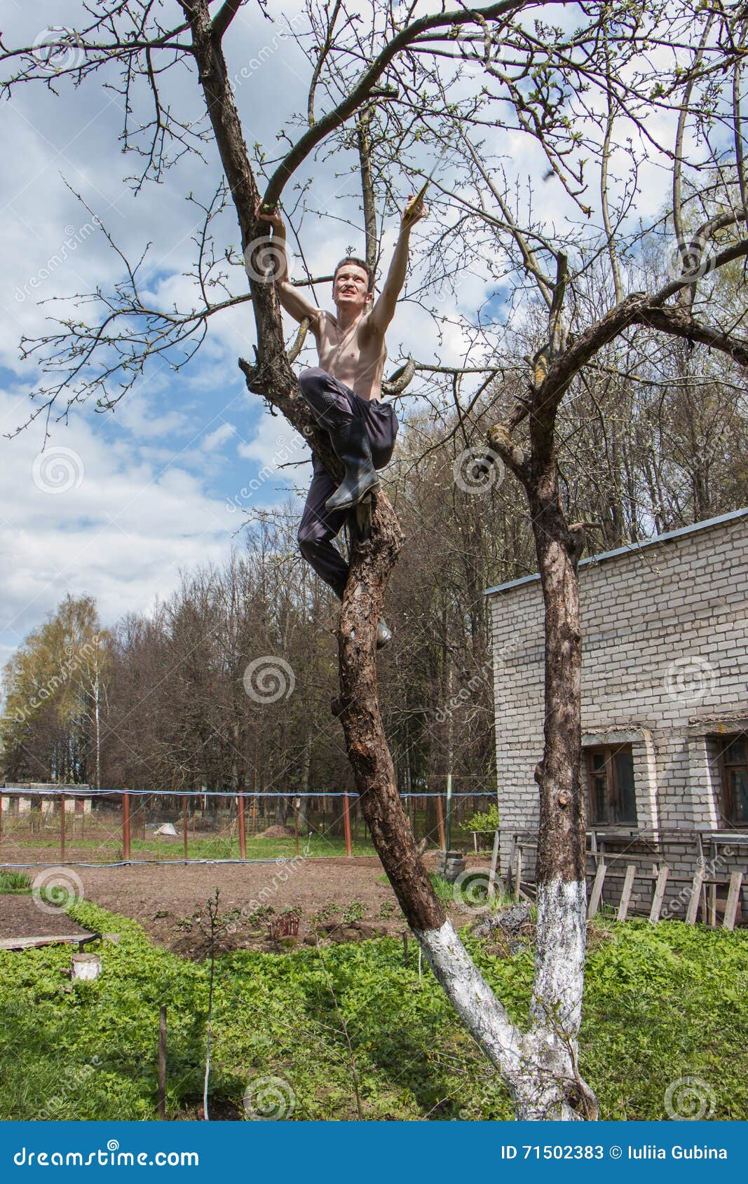 A Man Sits on a Tree and Sawing the Branch Stock Image - Image of ...