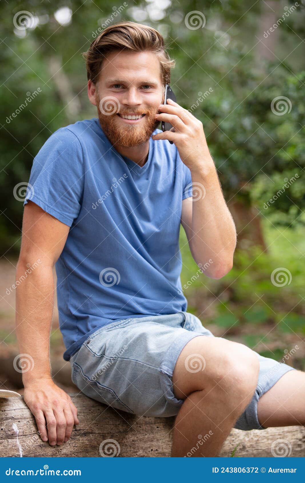 Man Sits on Tree Trunk in Forest Using Mobile Phone Stock Photo - Image ...