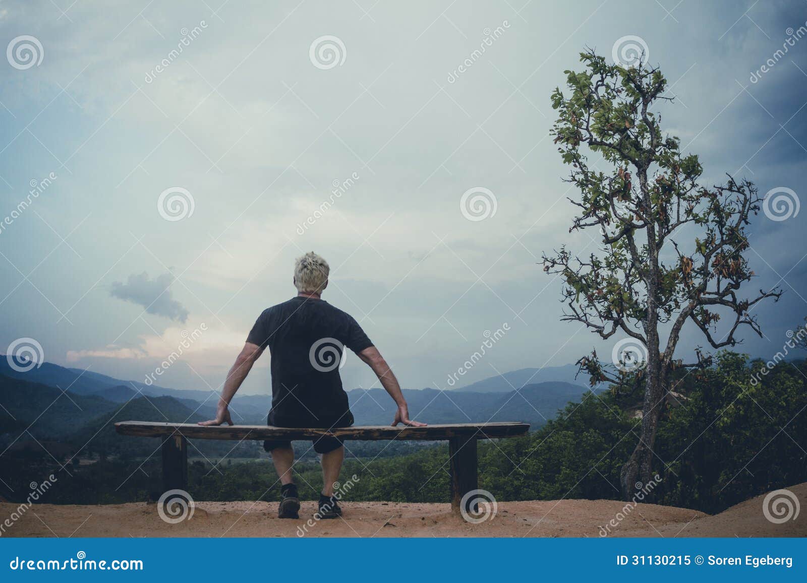 Man Sitting Alone on Bench Looking at View Stock Image - Image of ...