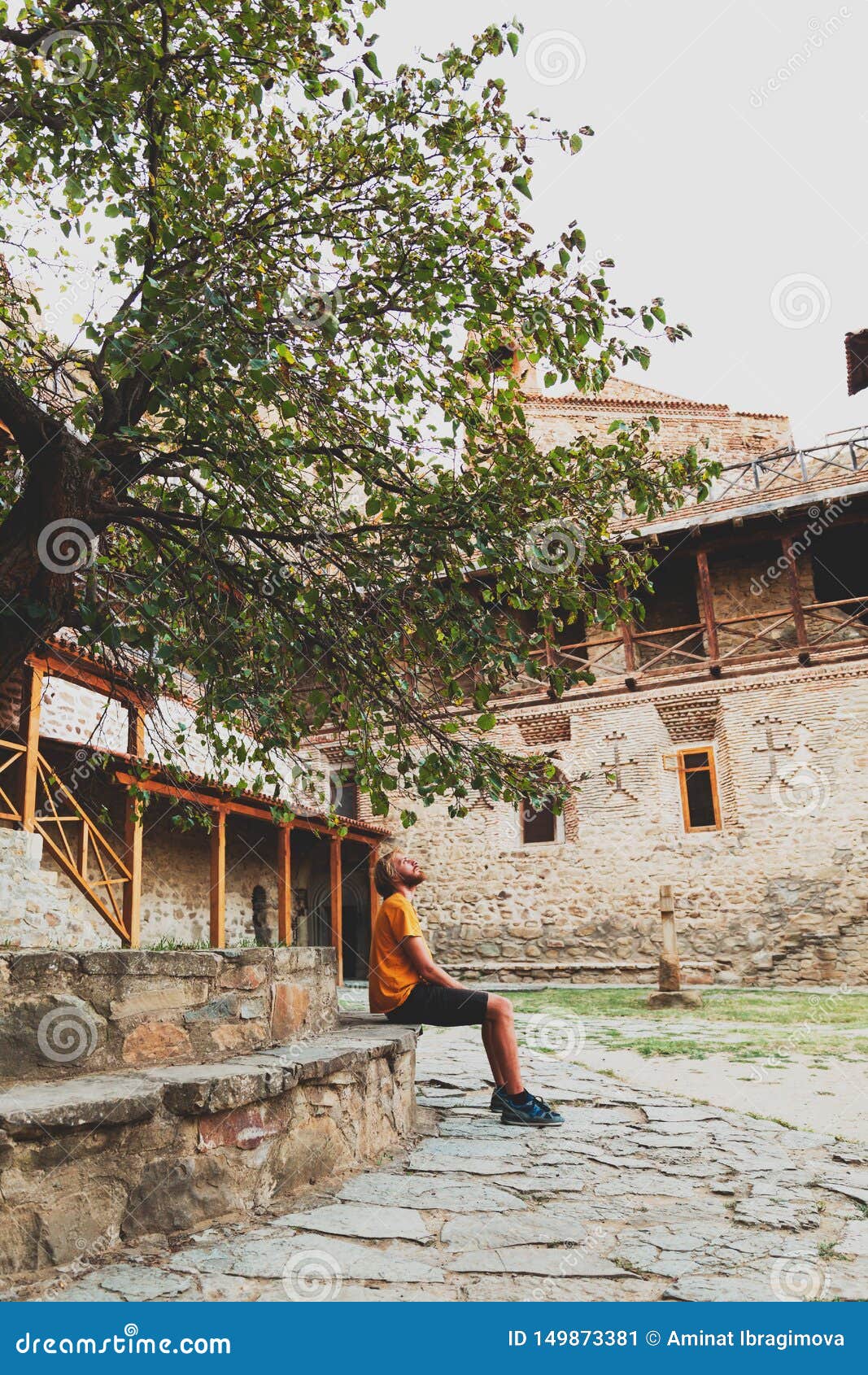 Man Sitting Alone Relaxing Under the Tree Looking Up Stock Image ...