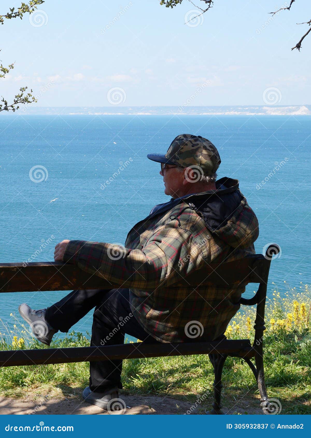 Panorama Rear View Caucasian Walking Dog In Early Foggy Morning Along ...