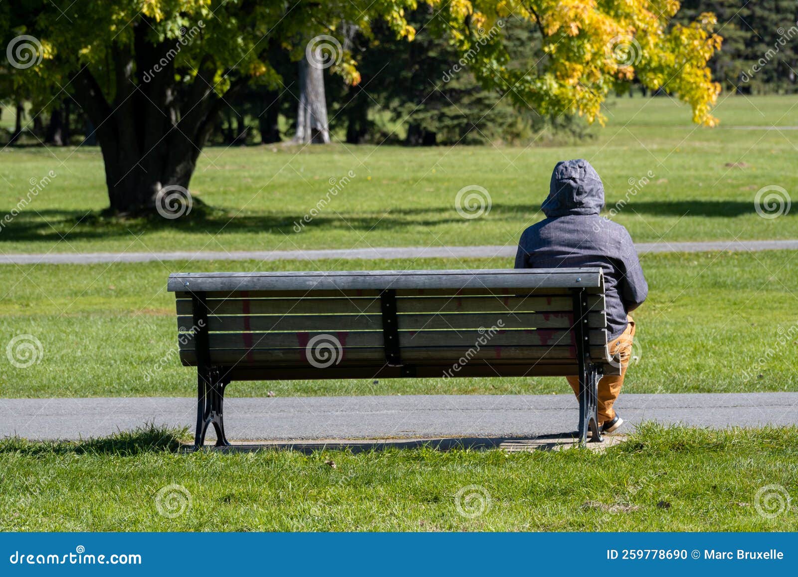 Man Sitting on Bench in Maisonneuve Park Editorial Image - Image of ...